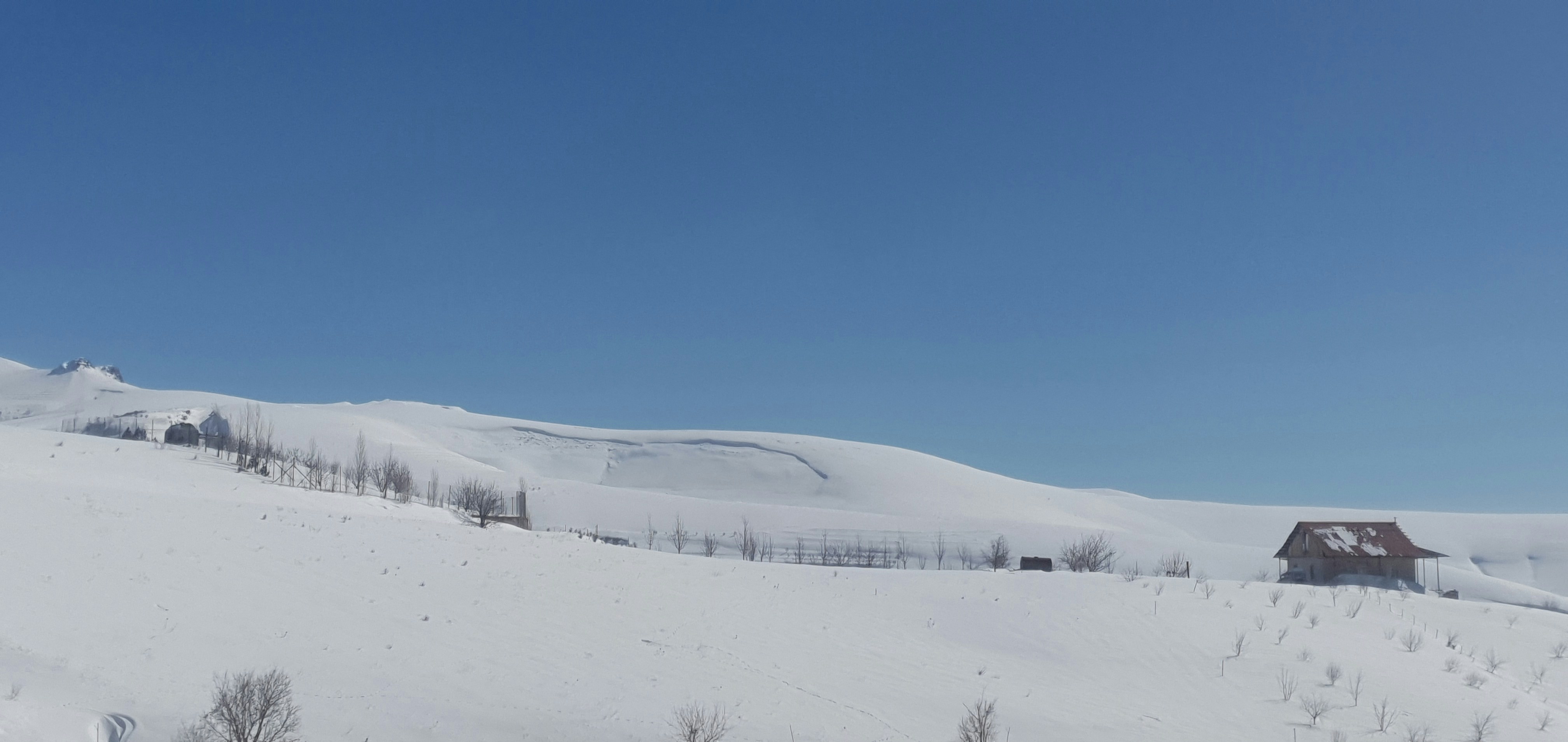Whispers of Winter: A Serene Snowy Landscape