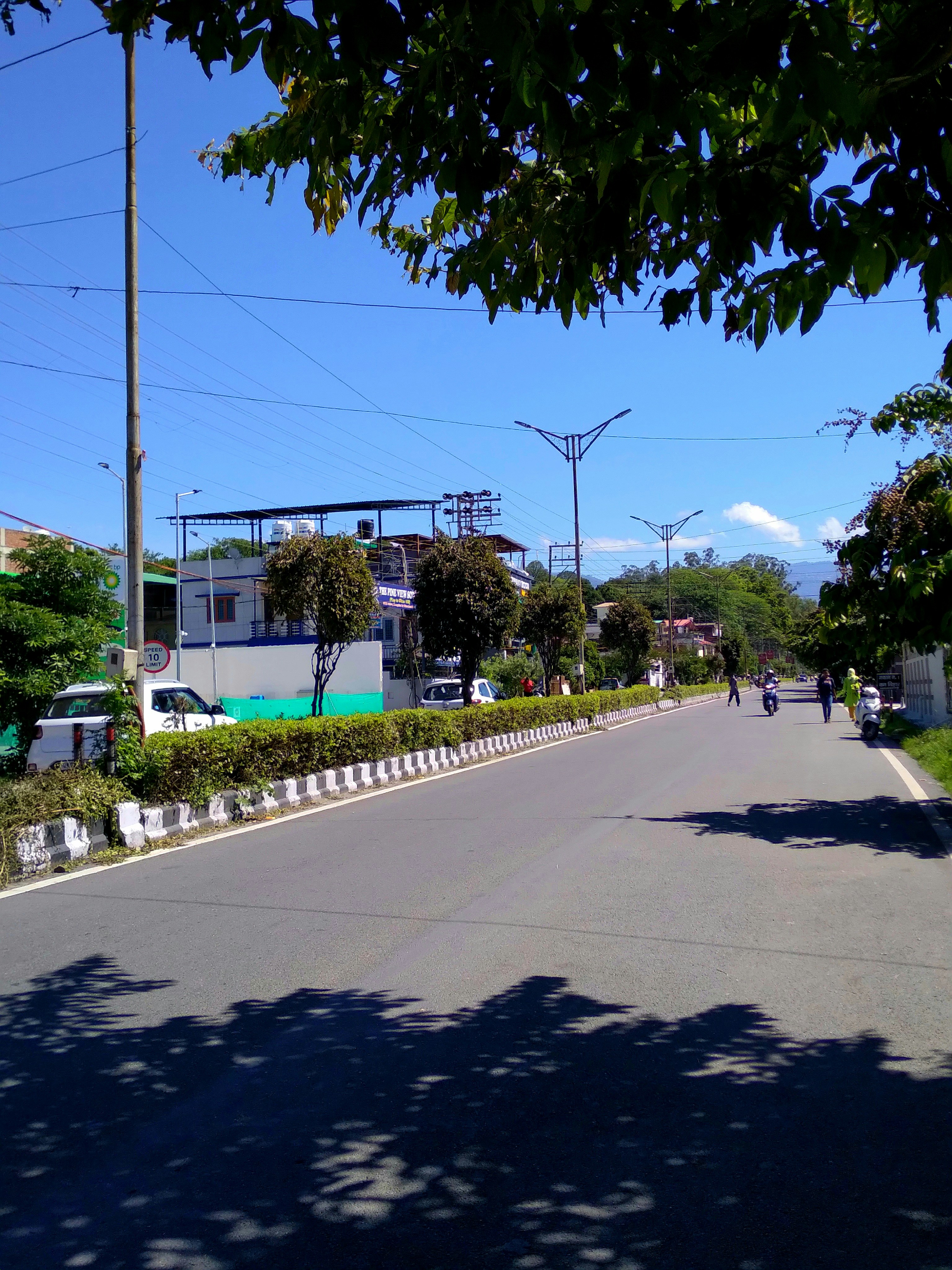 Daytime street photograph of a tree-lined avenue with a striped curb and distant riders.