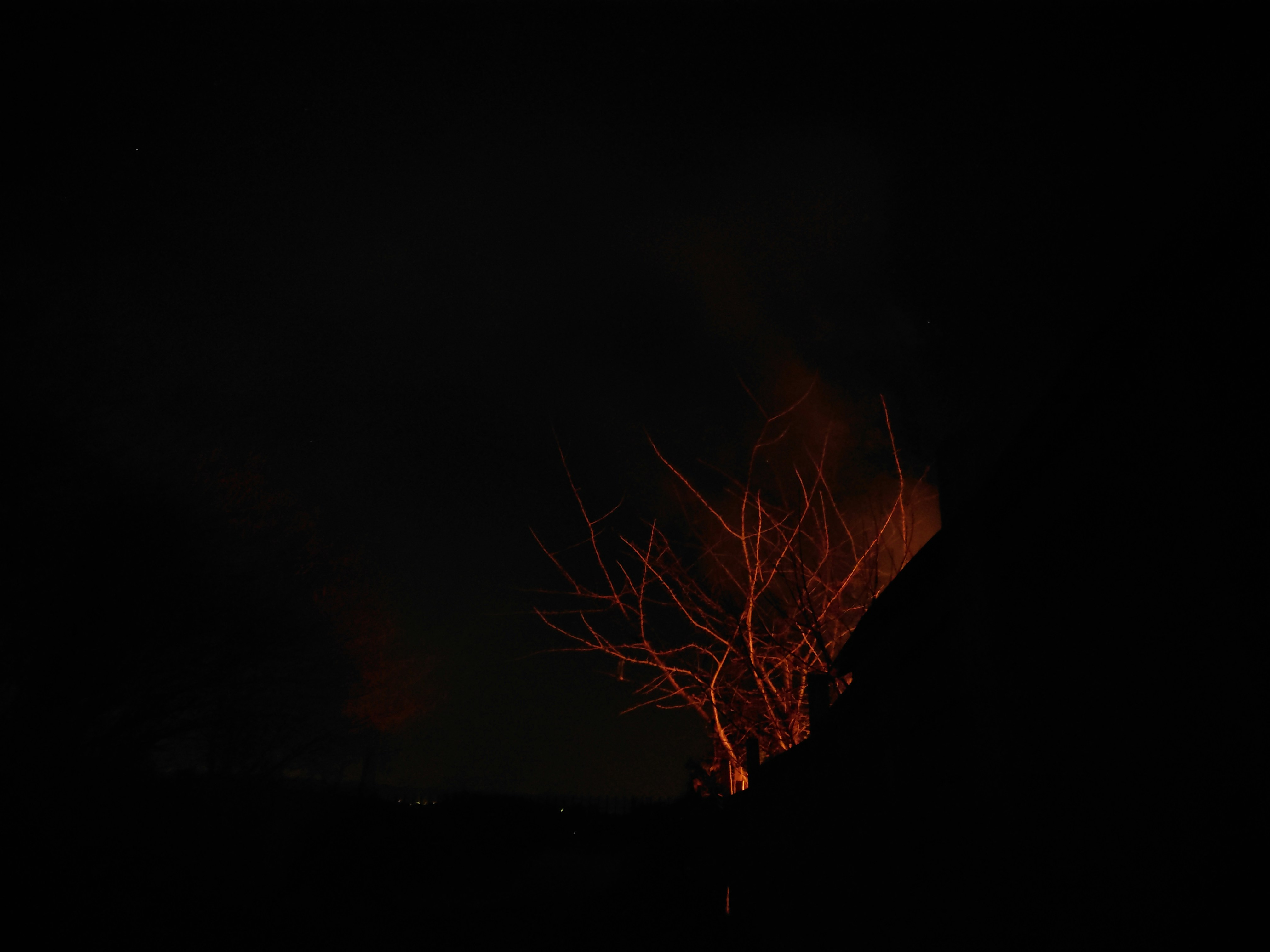 Bare tree illuminated by orange flames against a dark sky.