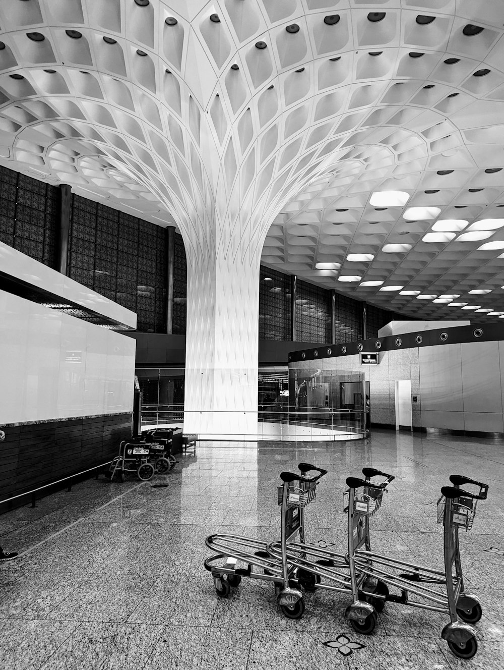 Foto zum Thema Ein Schwarz-Weiß-Foto von Gepäckwagen in einem Flughafen ... Foto zum Thema Ein Schwarz-Weiß-Foto von Gepäckwagen in einem Flughafen ...