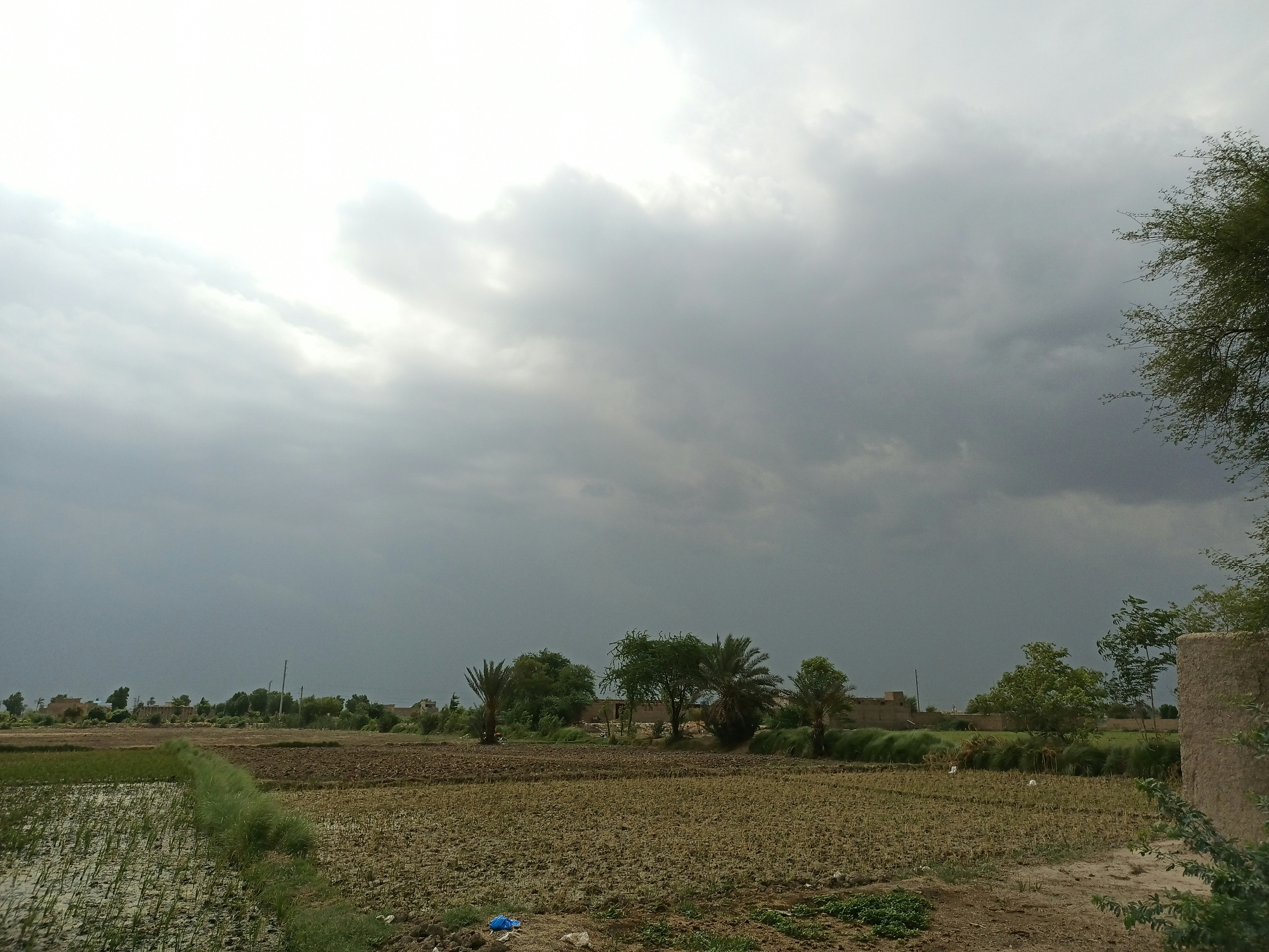 Fields at Dusk Under Brooding Sky