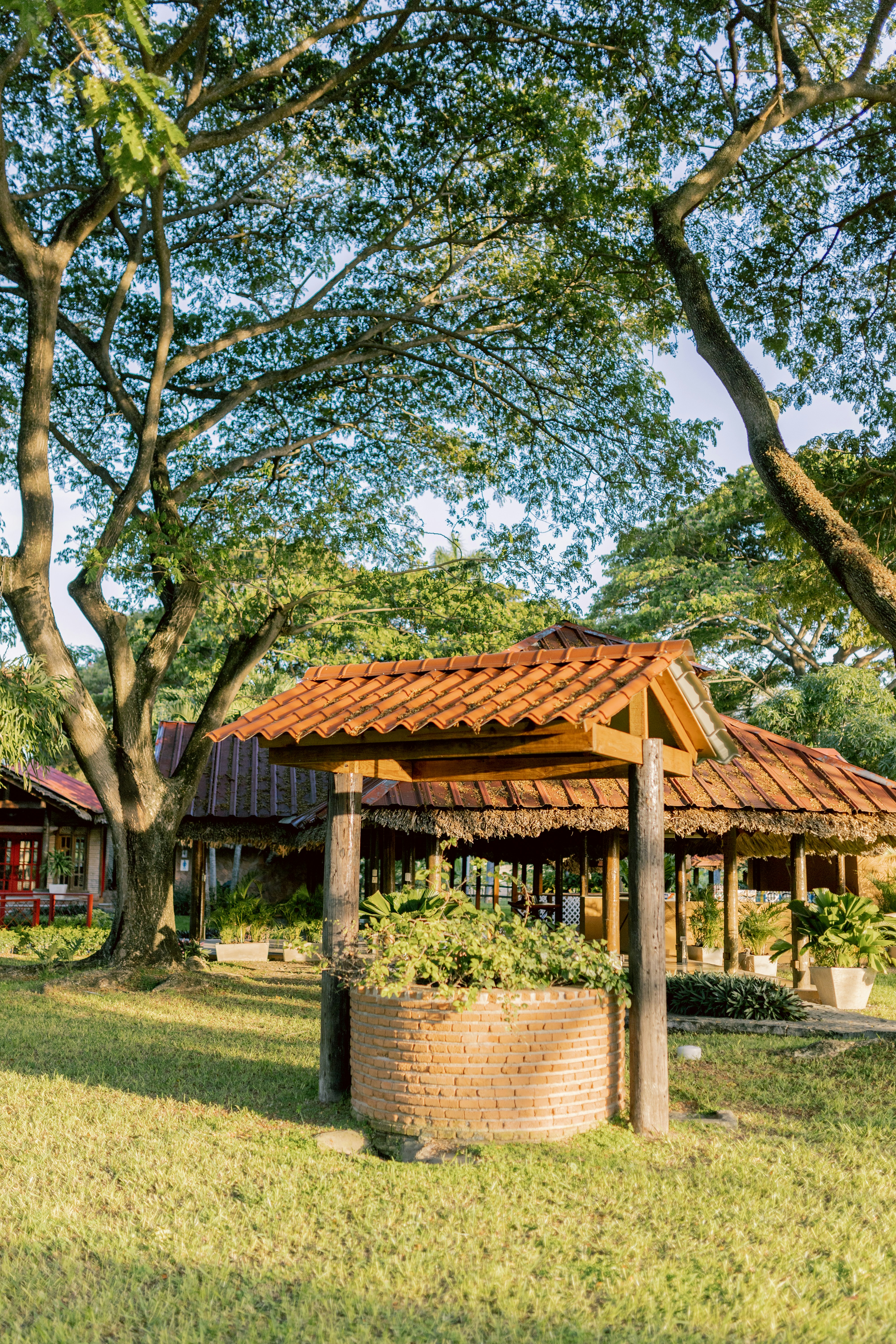 CAVANDO POZOS - Nerea Osorto Newsletter