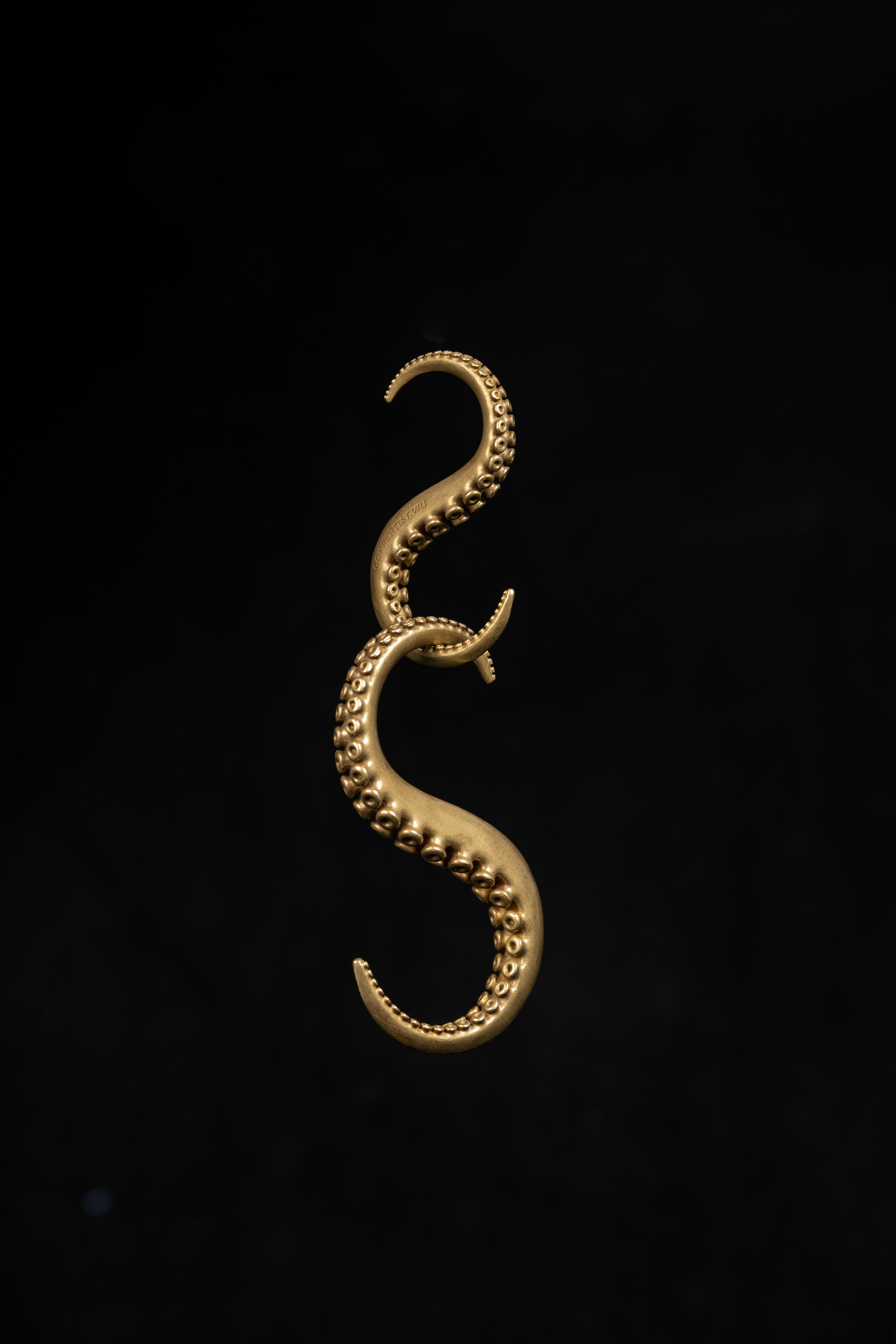 A gold snake shaped object on a black background photo – Free ...
