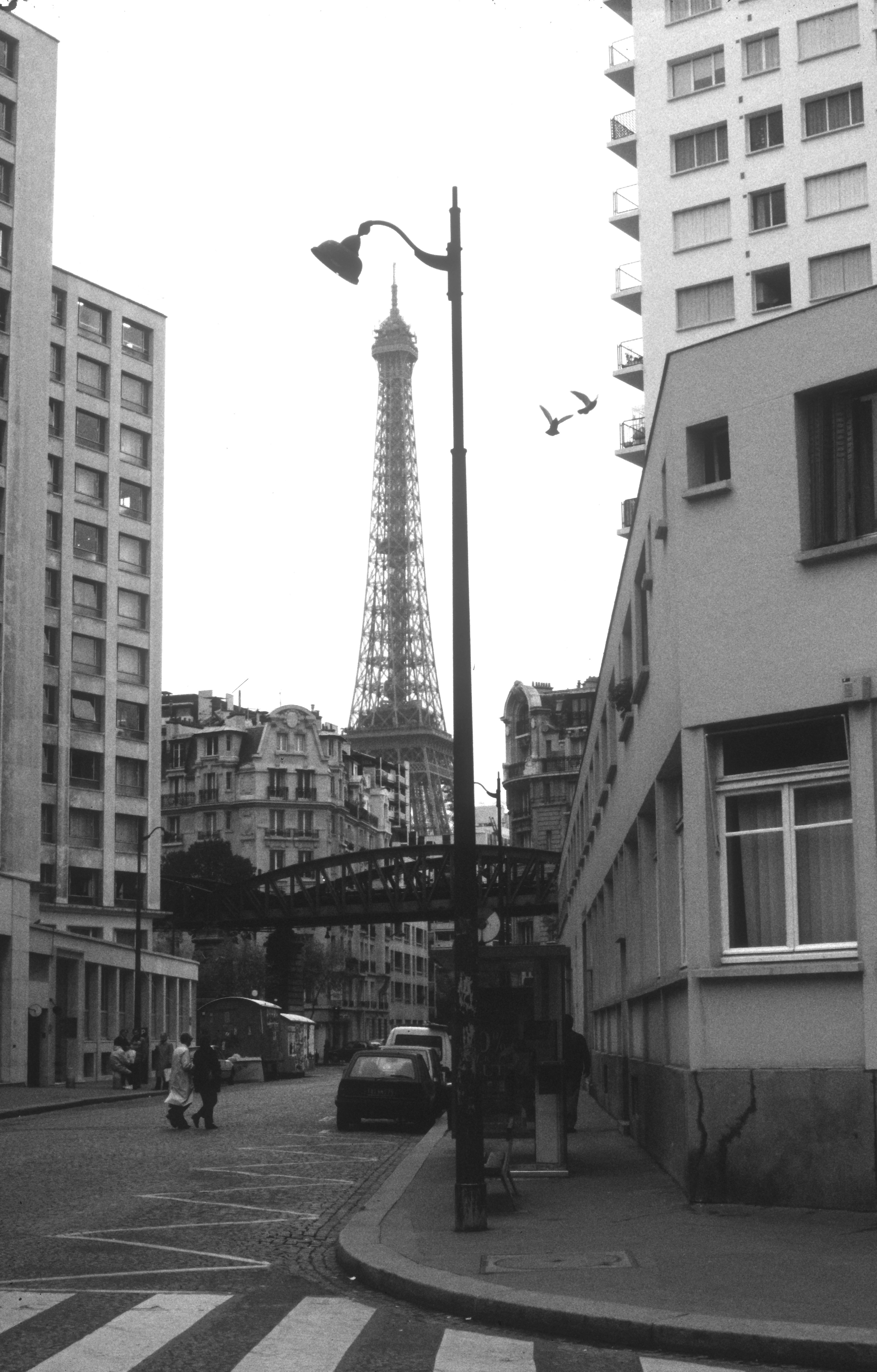 The Eiffel Tower rises prominently above the Parisian streets, framed by contemporary buildings and a hint of urban life. Birds soar in the sky, adding a dynamic element to the scene.