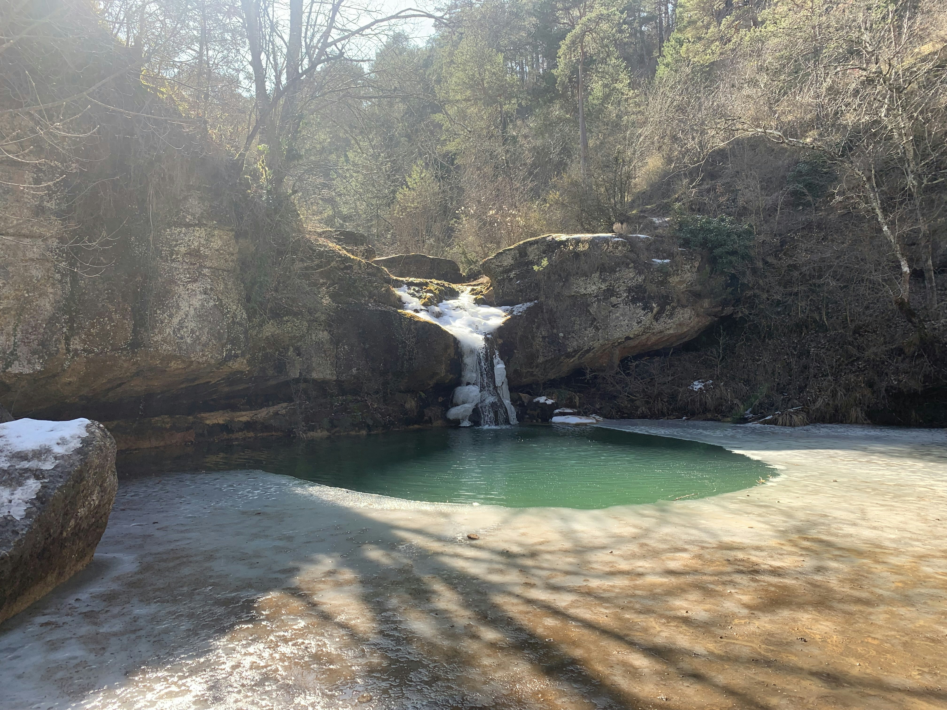 Photo by Candice Fulker with Apple iPhone XS