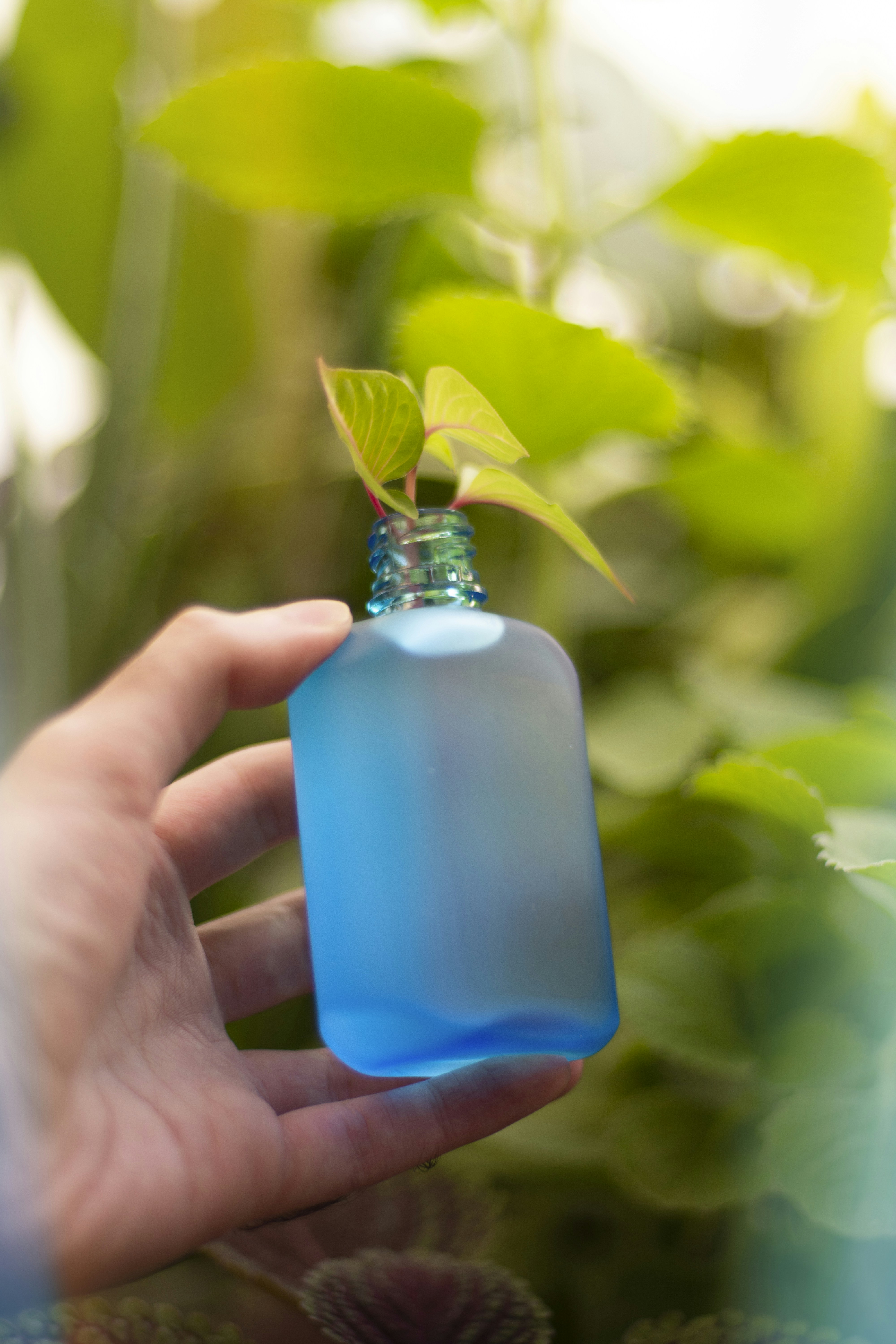 Photo by mah talemo with Nikon D7100