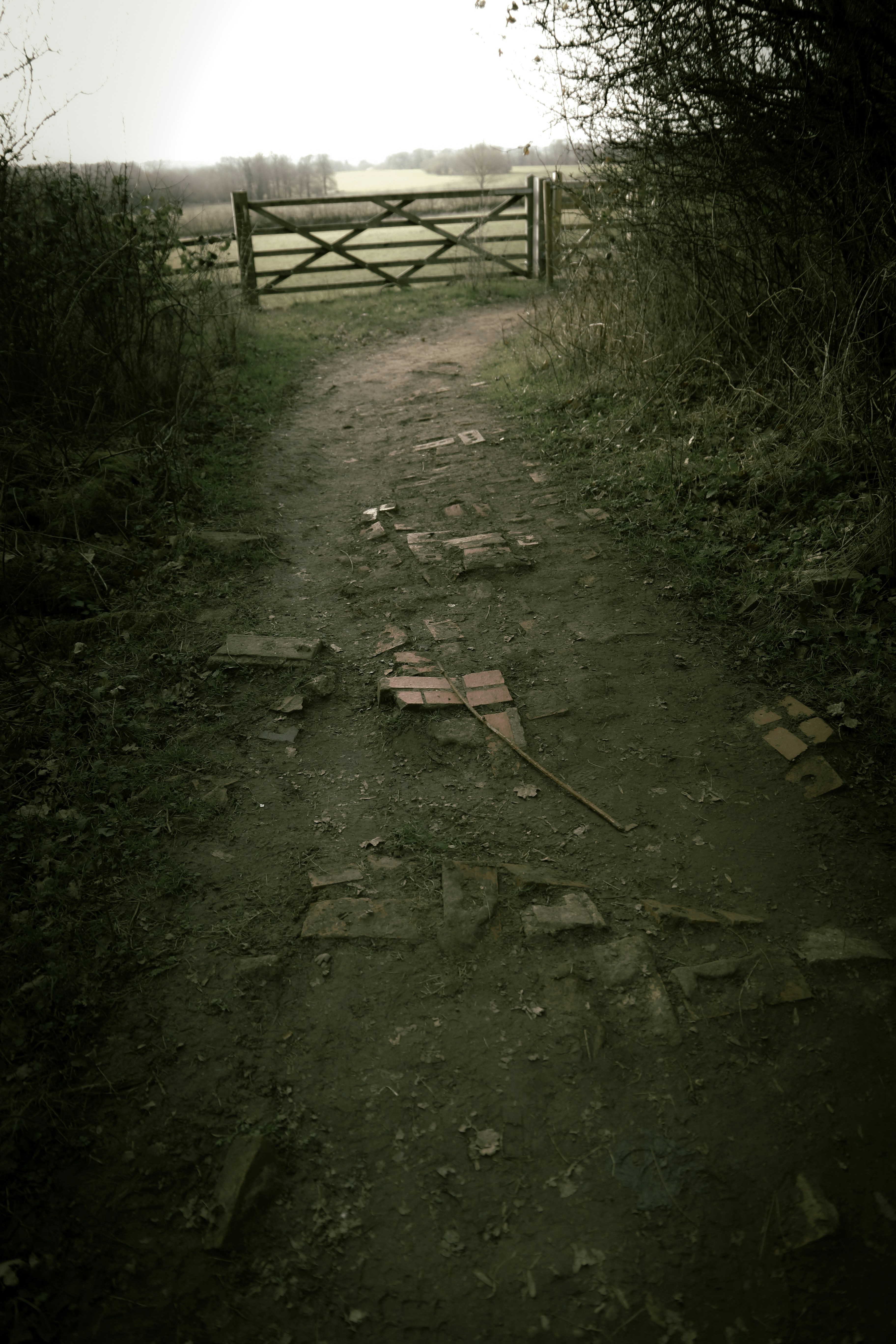 Photo by Jack Baxter with Canon EOS 6D