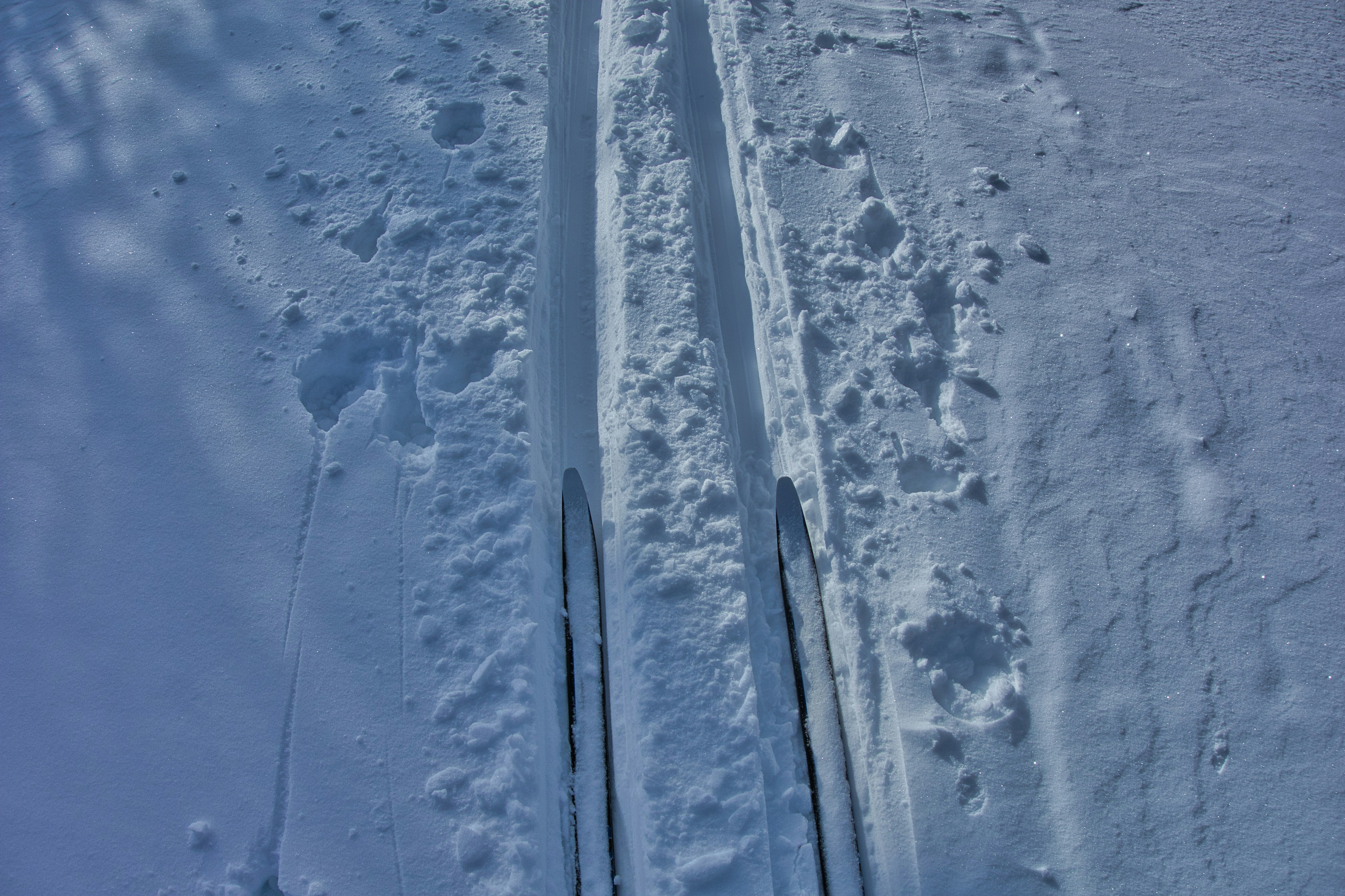 Twin Ski Tracks Across a Quiet Powder Field