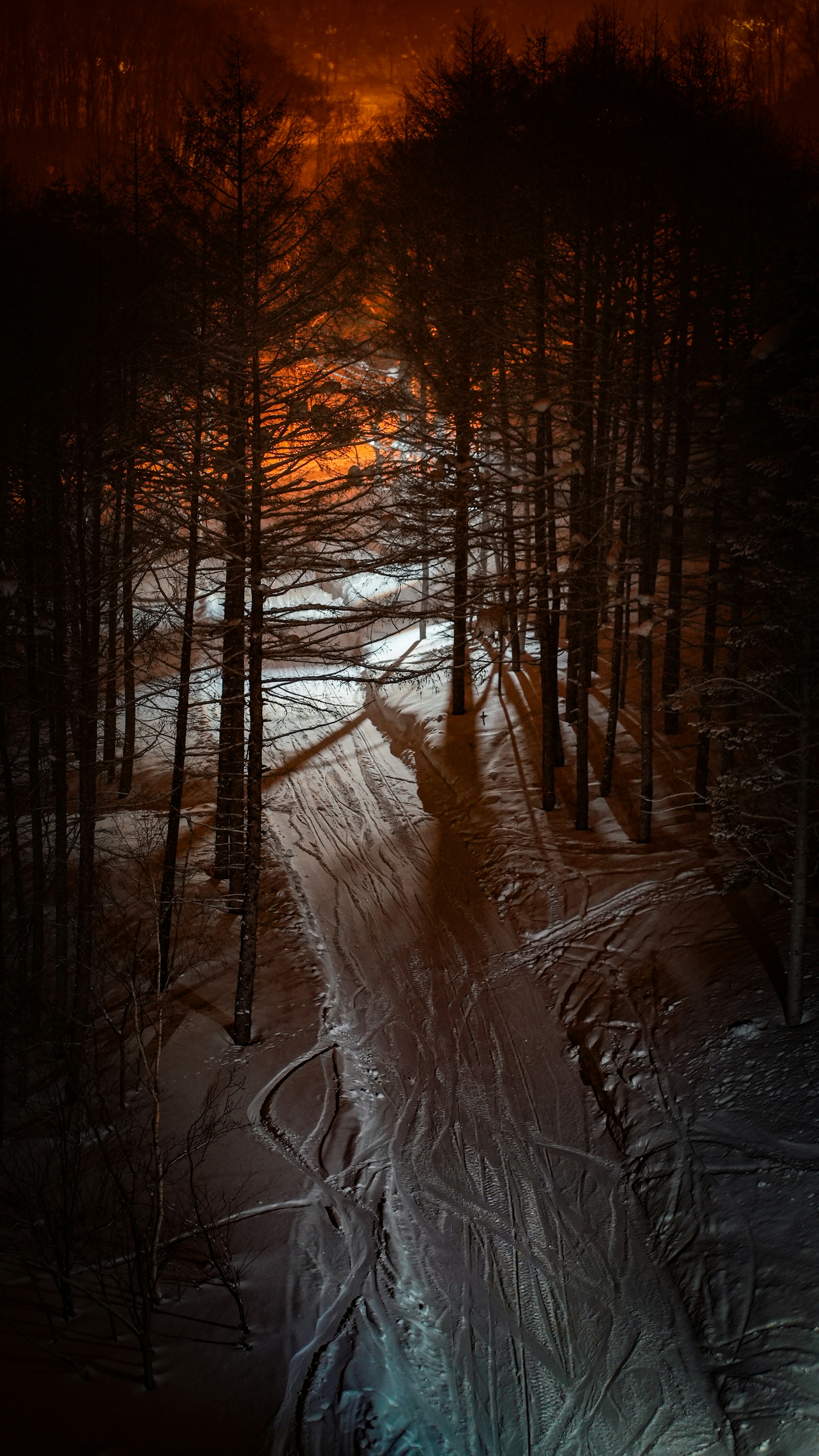 Snow-blanketed trail winds through a dense pine forest at twilight, backlit by a warm orange glow. The composition emphasizes leading lines through the trees and the contrast between warm backlight and cool snow.