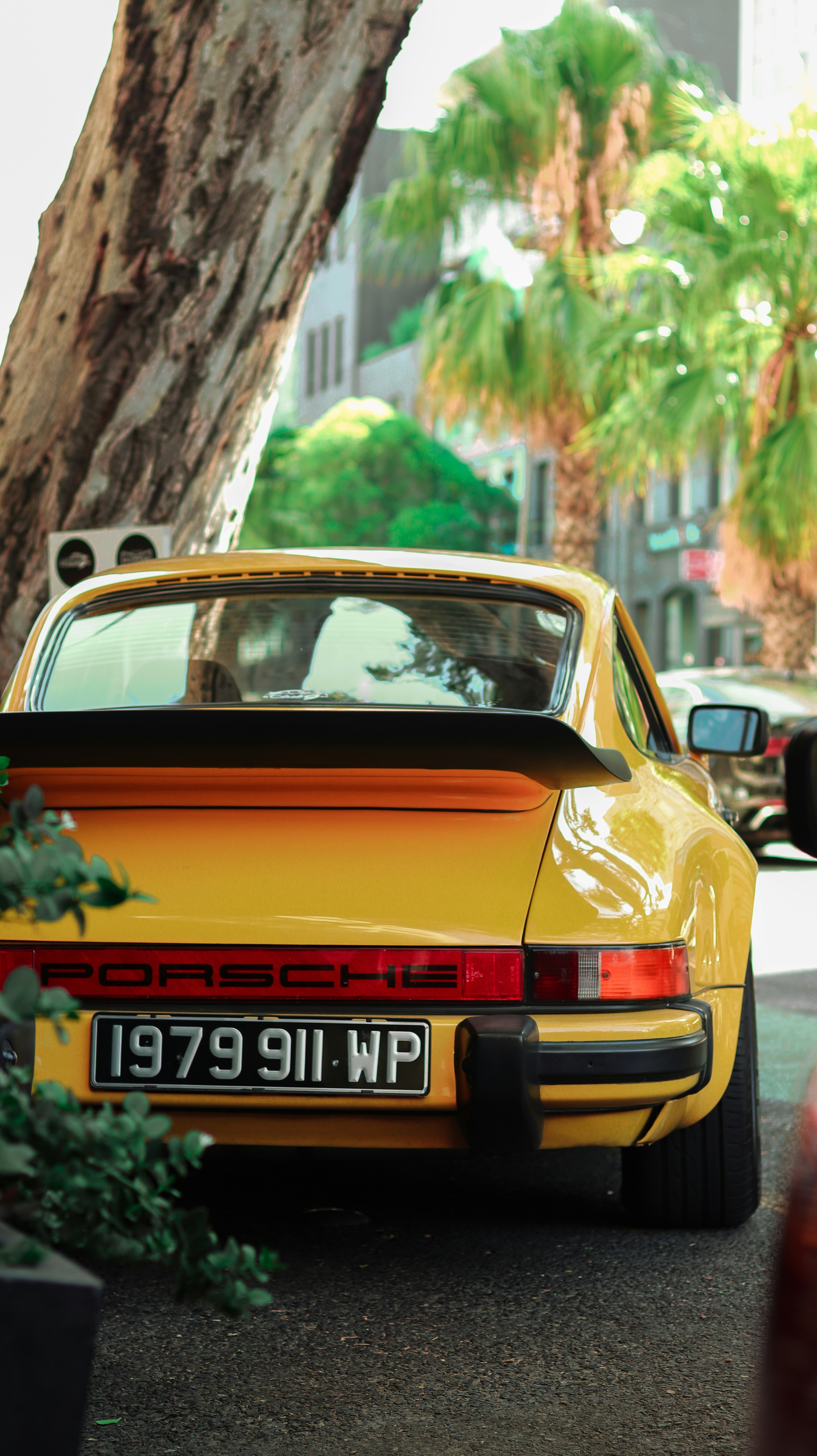 Sunlit Yellow Porsche 911: A Quiet Street Portrait Amid Palm Shadows