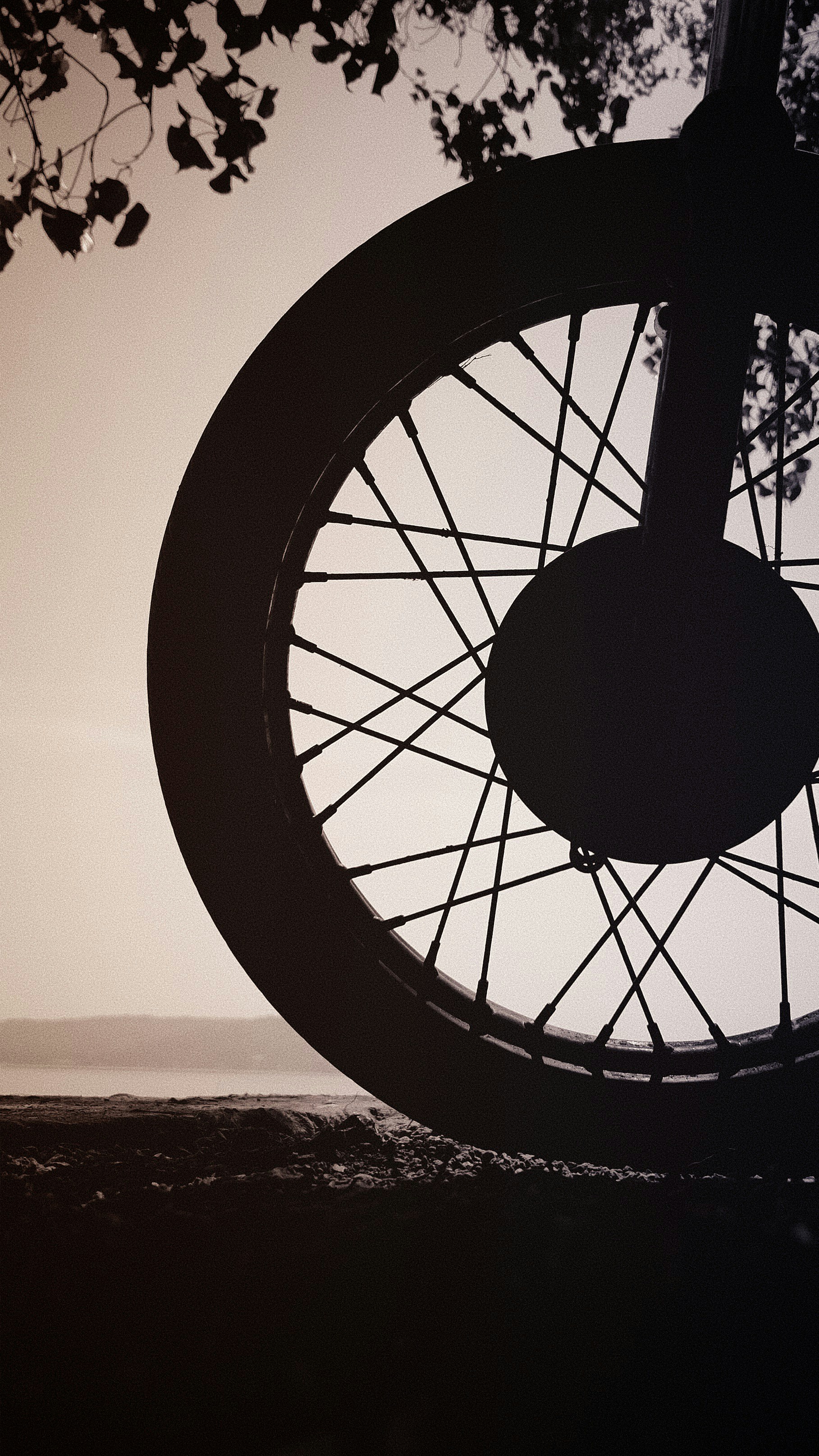 Wheel in silhouette: a tire and spokes against a muted horizon