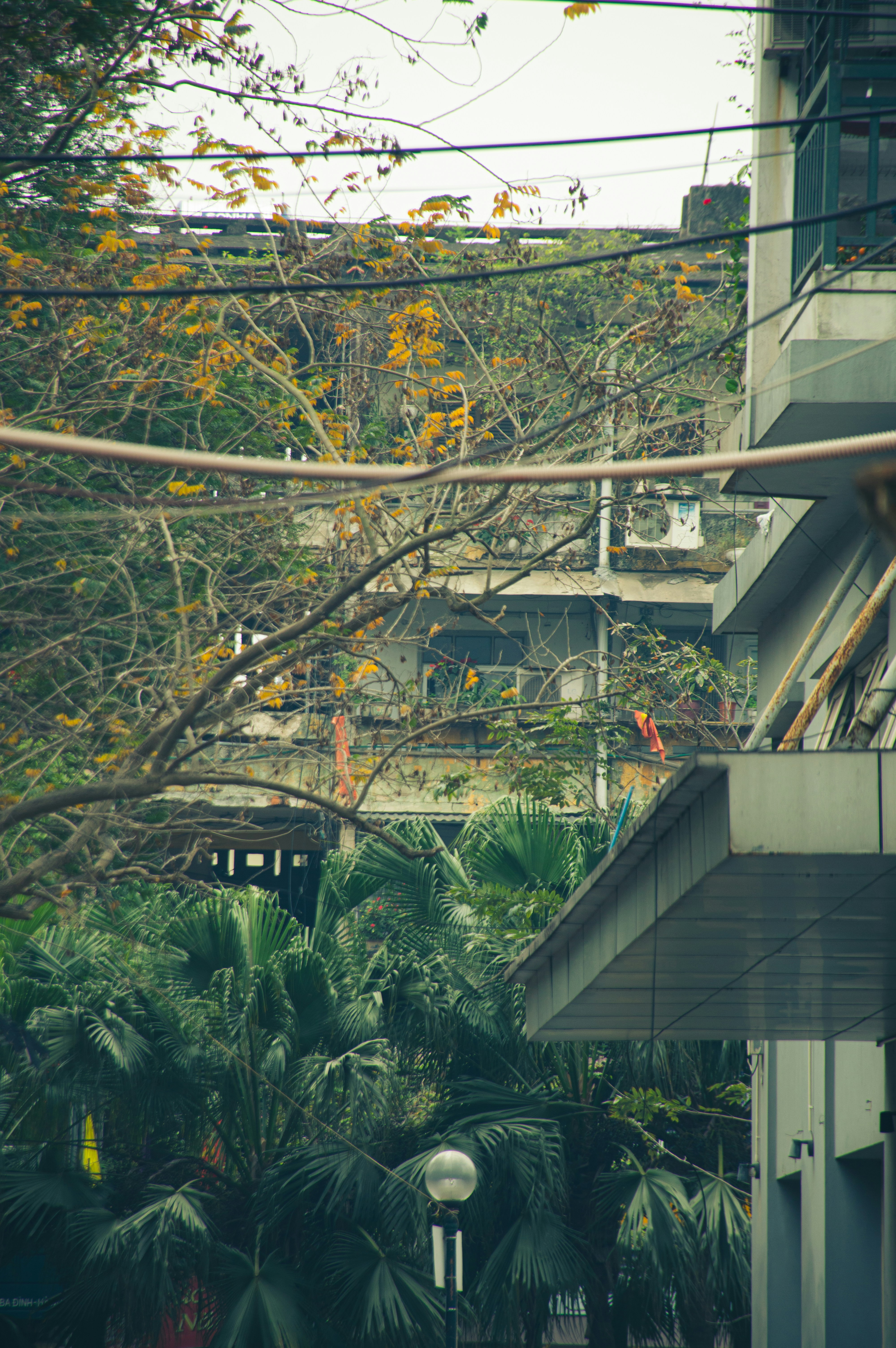 A tall building with lots of trees in front of it photo – Free Building ...