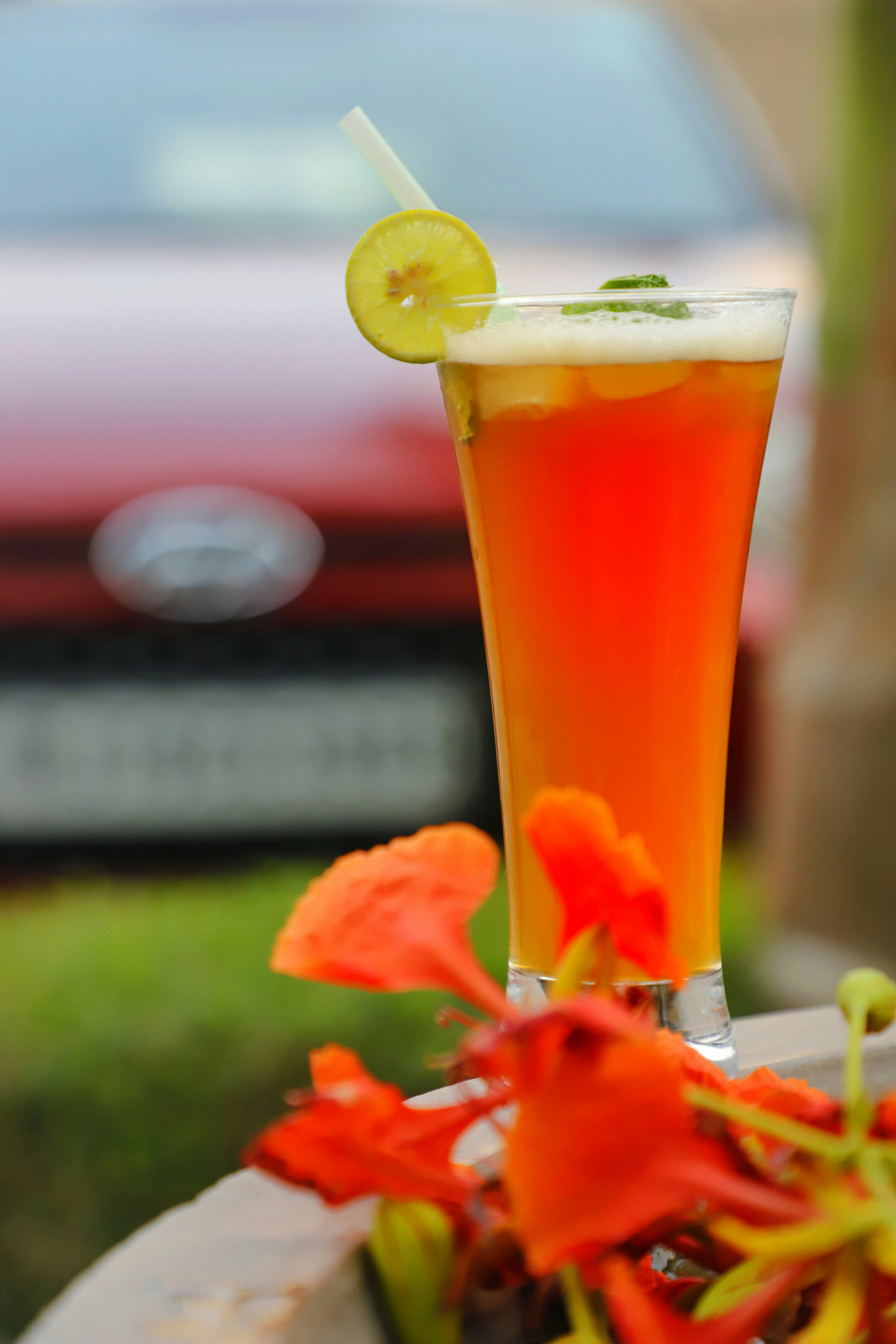 Citrus Ember in a Tall Glass: An Orange Cocktail Framed by Garden Blooms