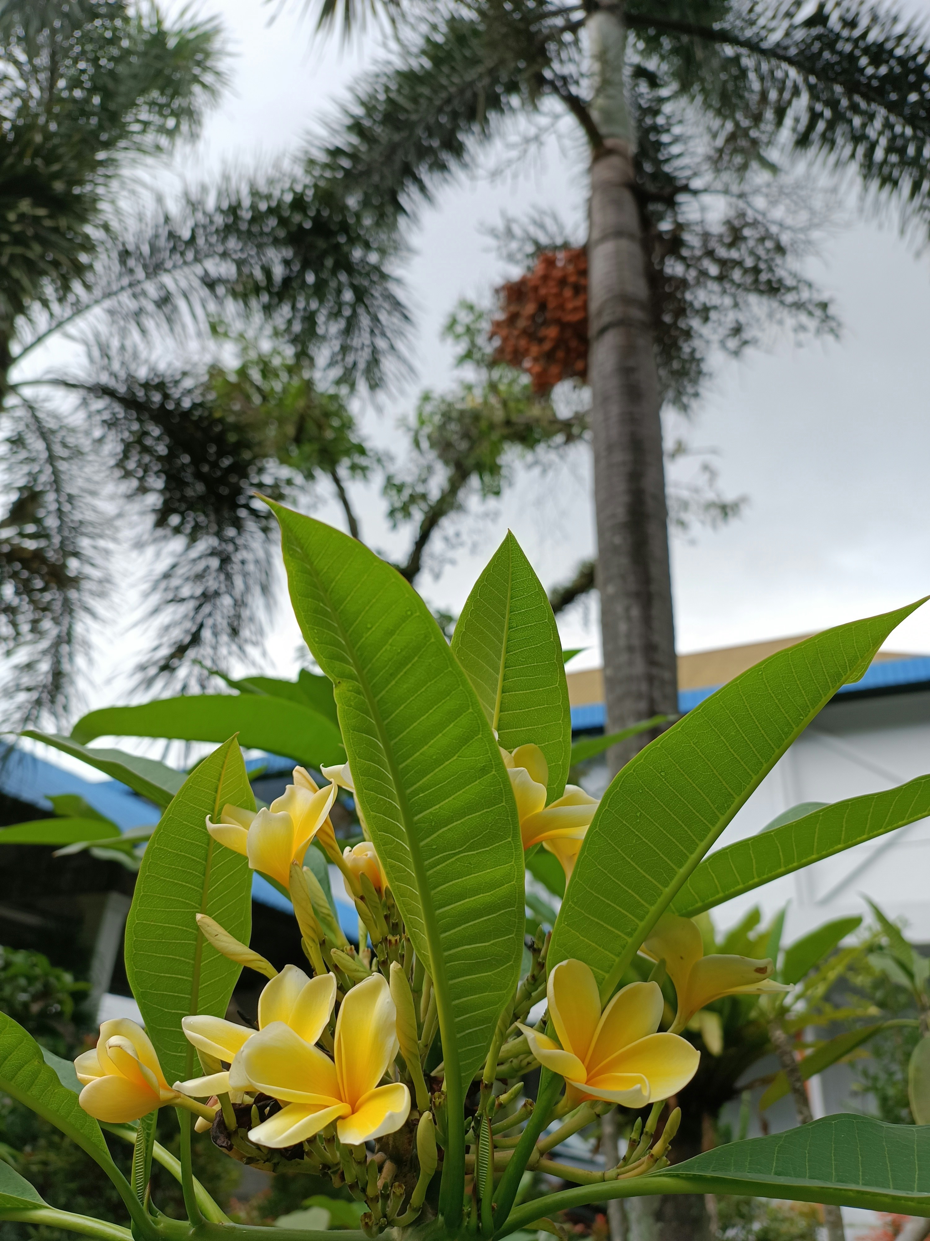 Photo by Mokhamadd Sabitt with Xiaomi Redmi Note 11 Pro