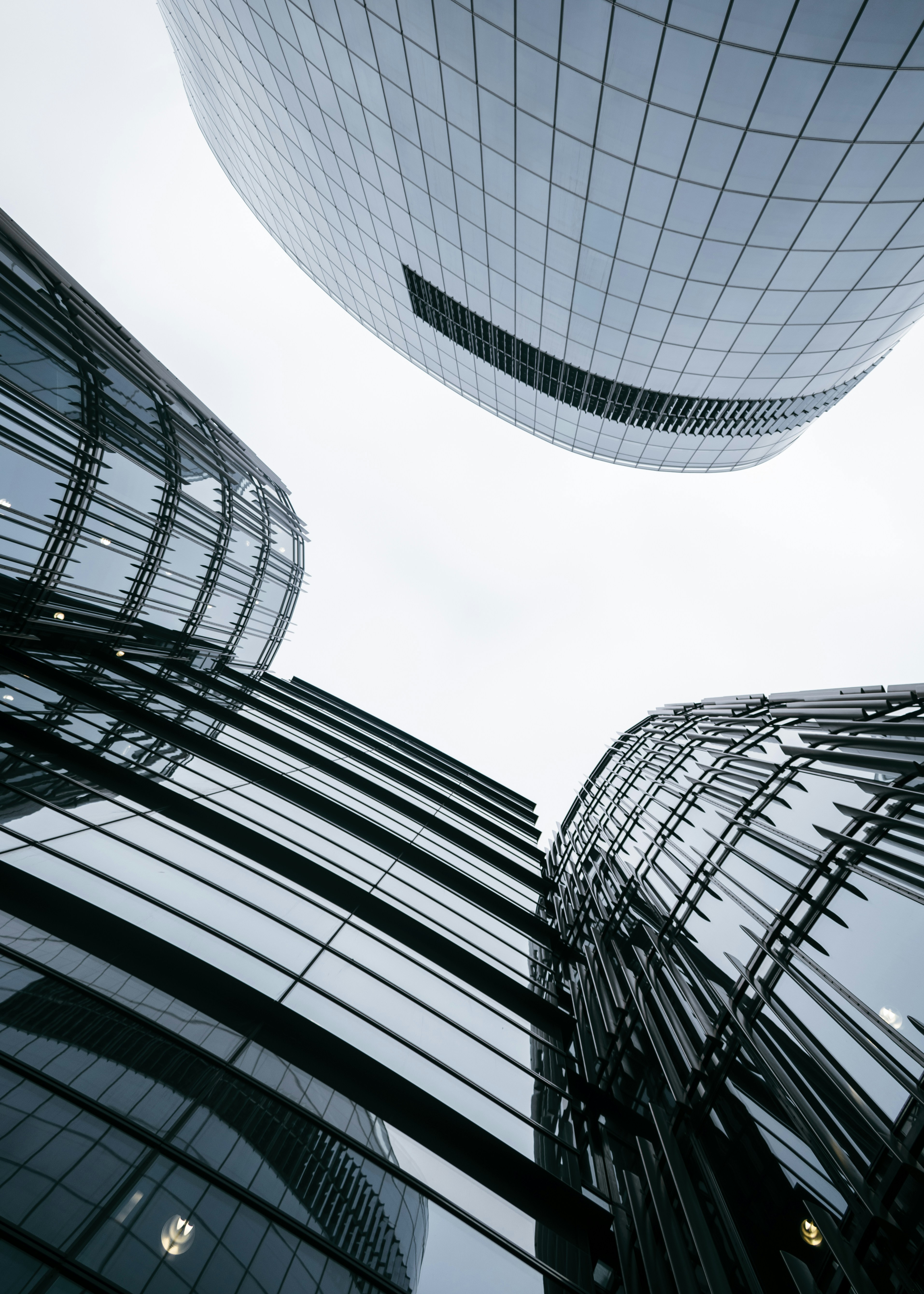 Photo by Polina Shirokova with Nikon D3500