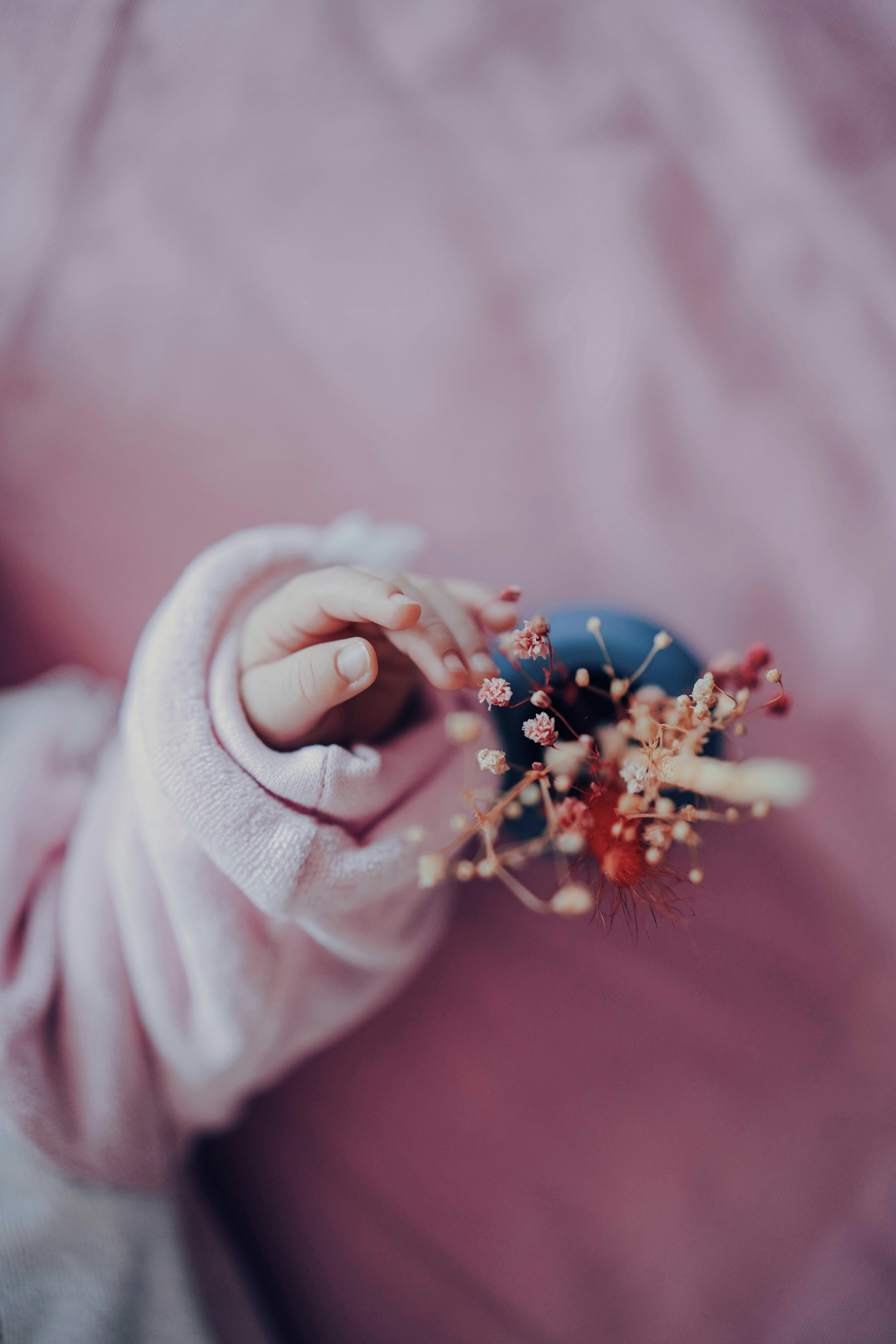 Gentle hand cradle: a baby's bloom of pink in soft focus