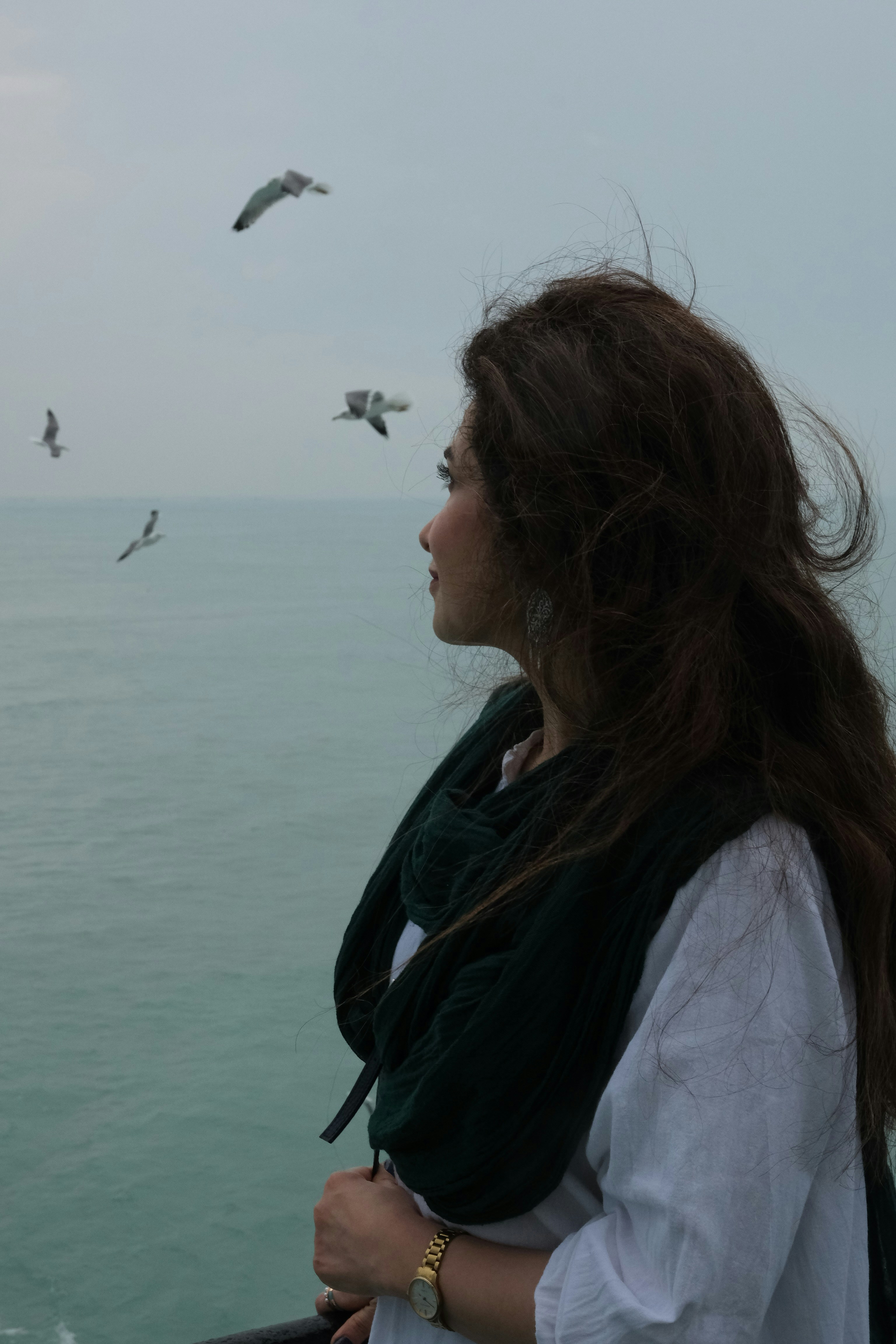 Coastal Reverie: A Wind-Swept Profile Amid Seabirds