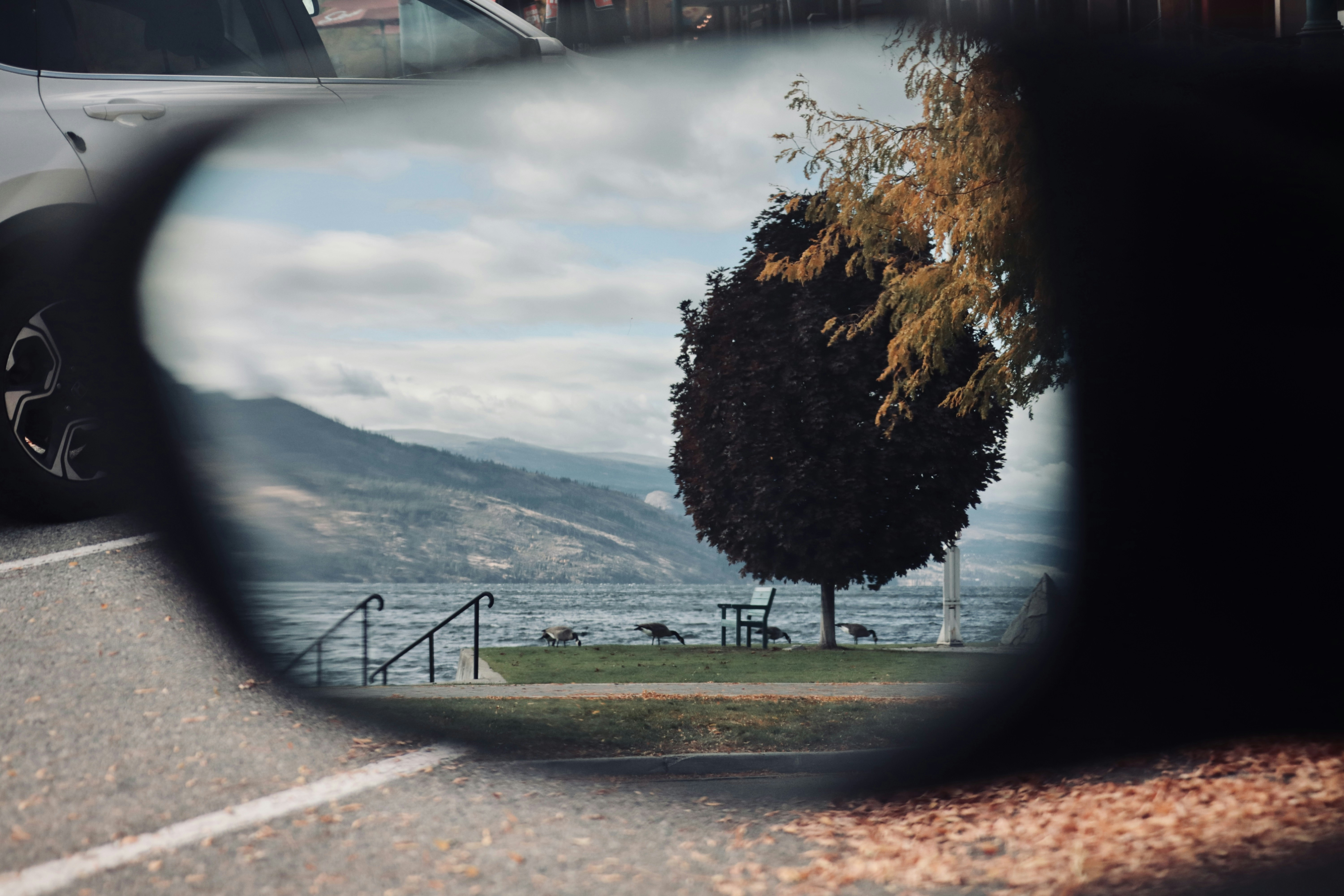 Tree and lakeside view framed within a car's side mirror on a scenic road.