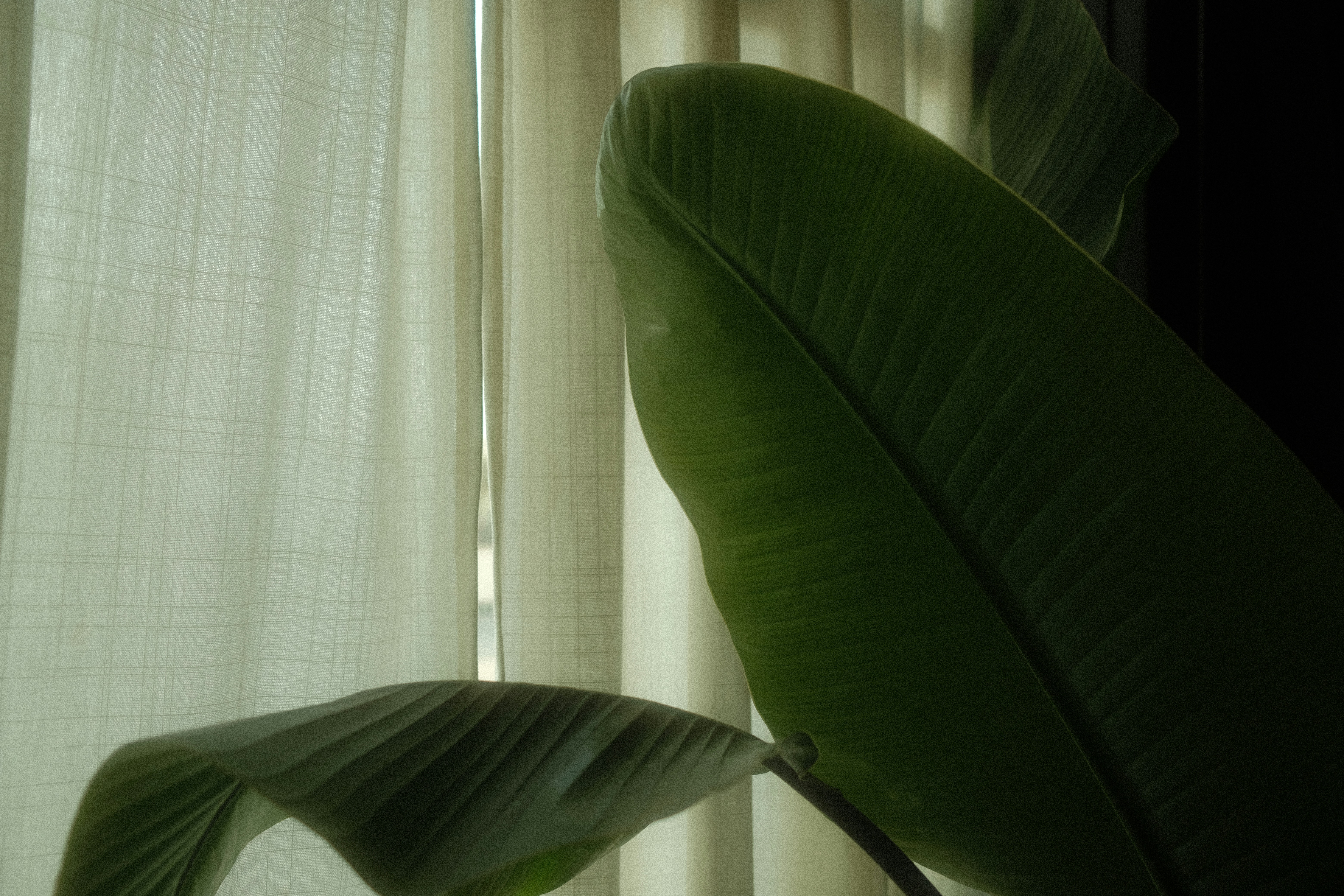 Photo by Marissa Lewis with Fujifilm X100V