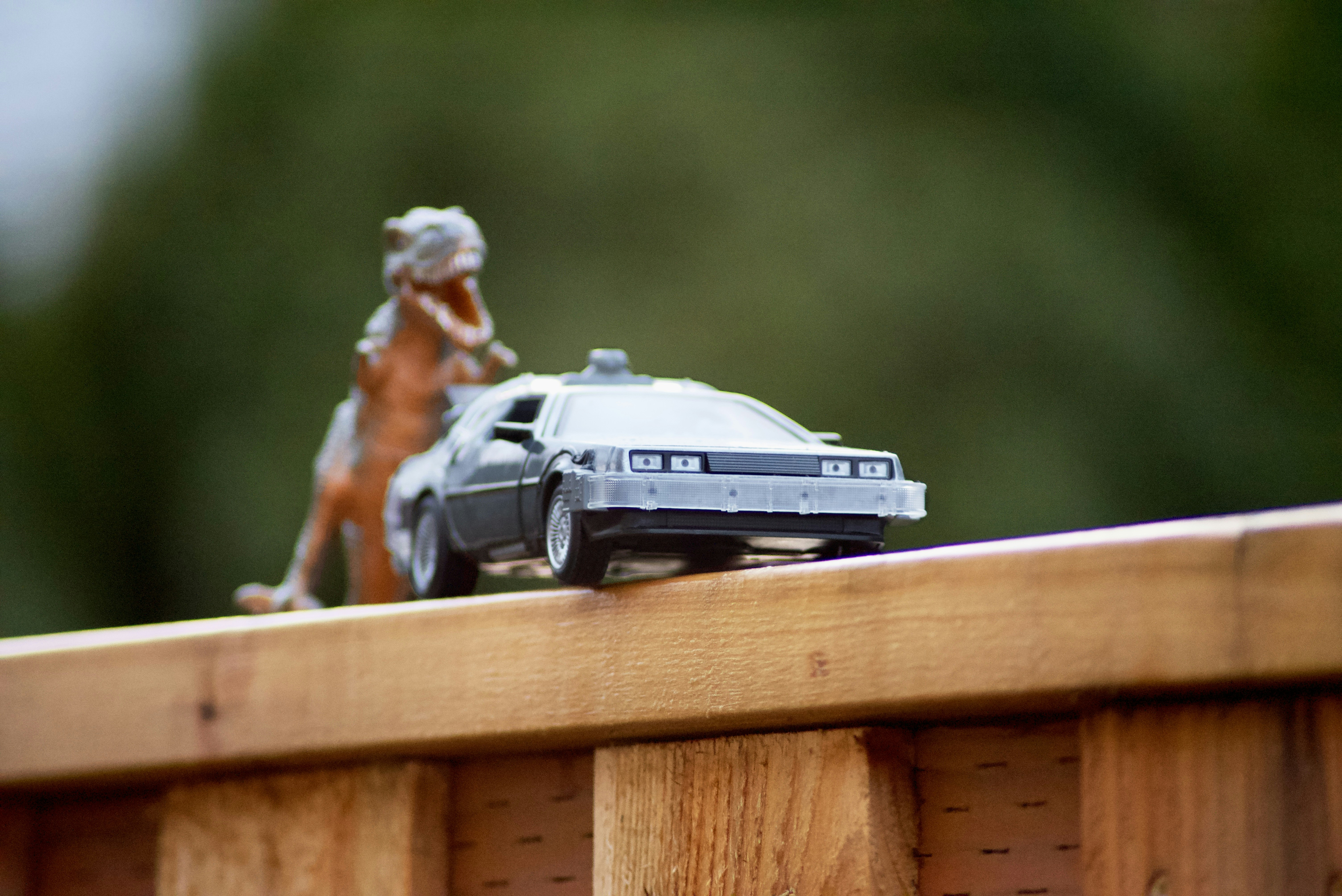 Rex Pictures | Download Free Images on Unsplash