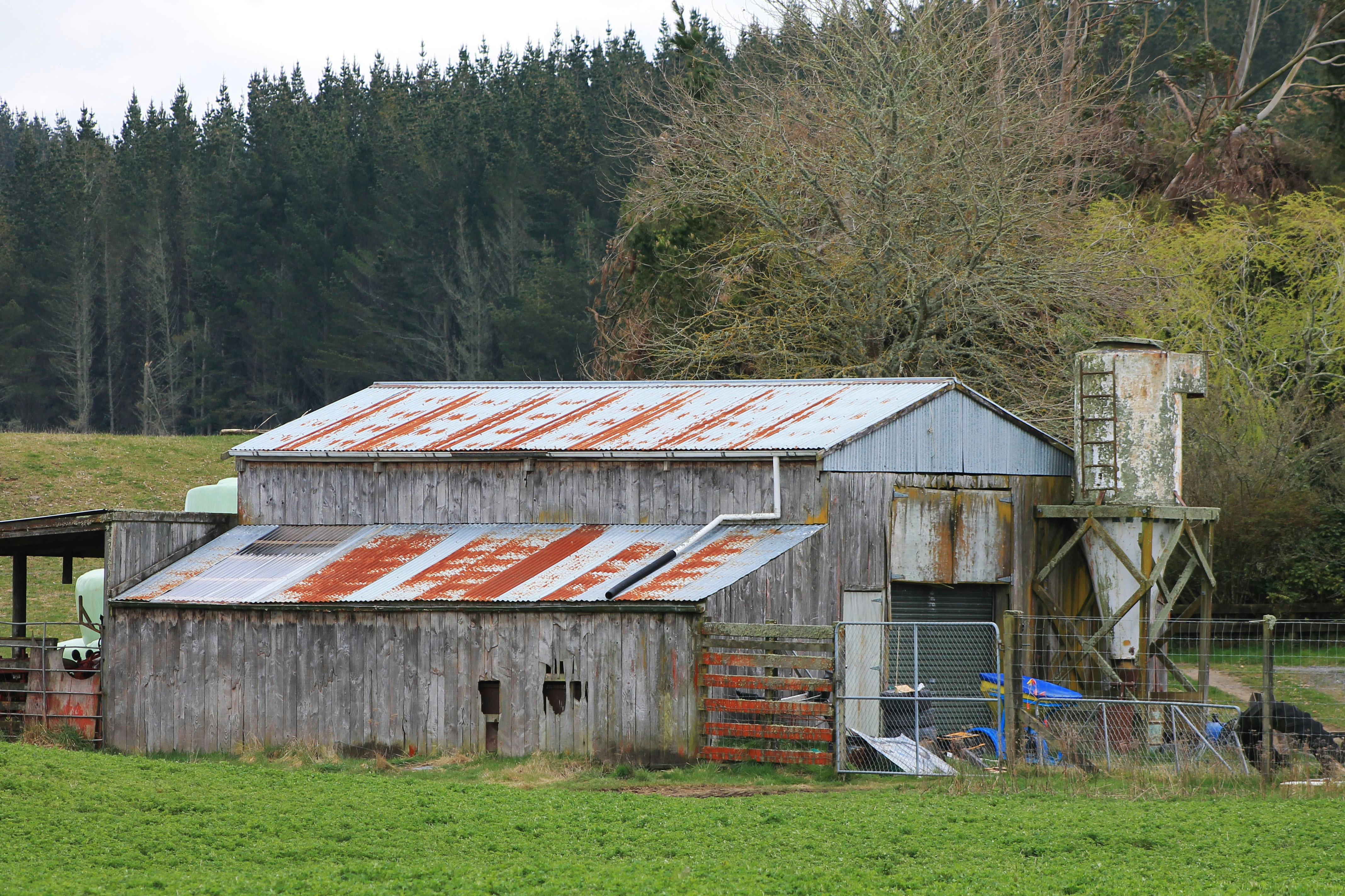 Rust-Colored Roofs and Quiet Pasture: A Weathered Farm Barn