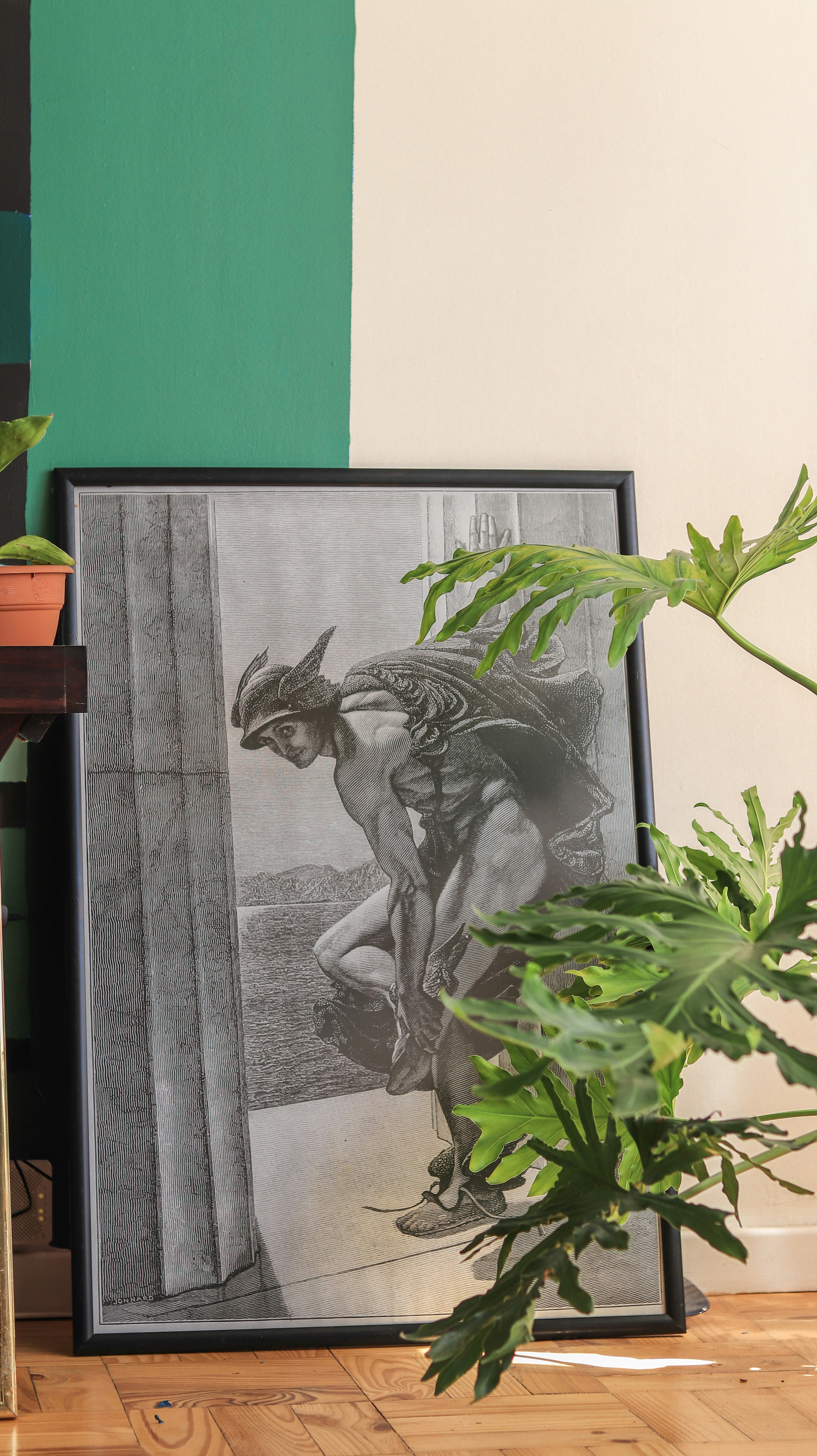 Photo by Rowan Fonda with Canon EOS 800D