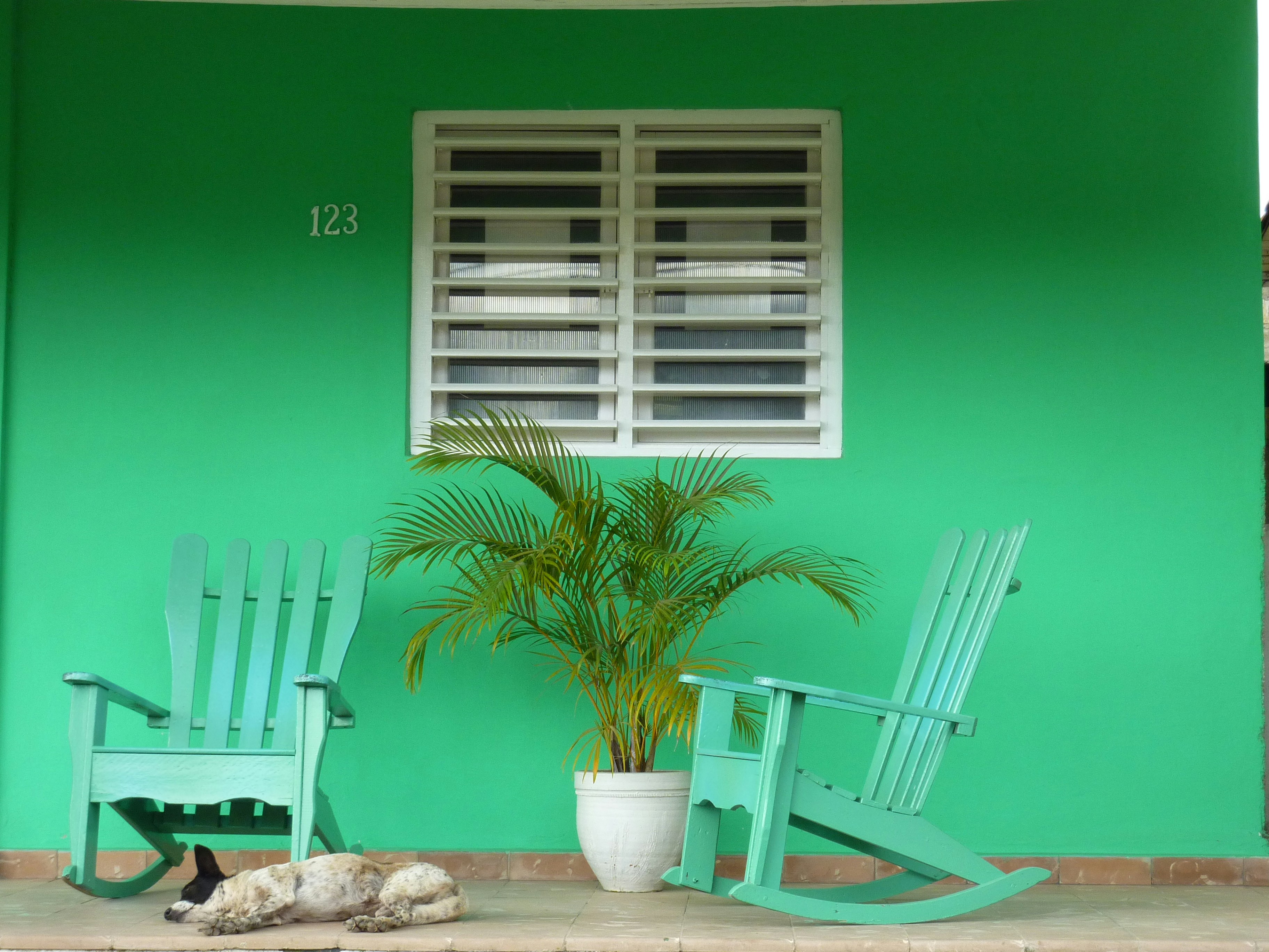A dog laying on the ground next to two rocking chairs photo – Free Cuba ...