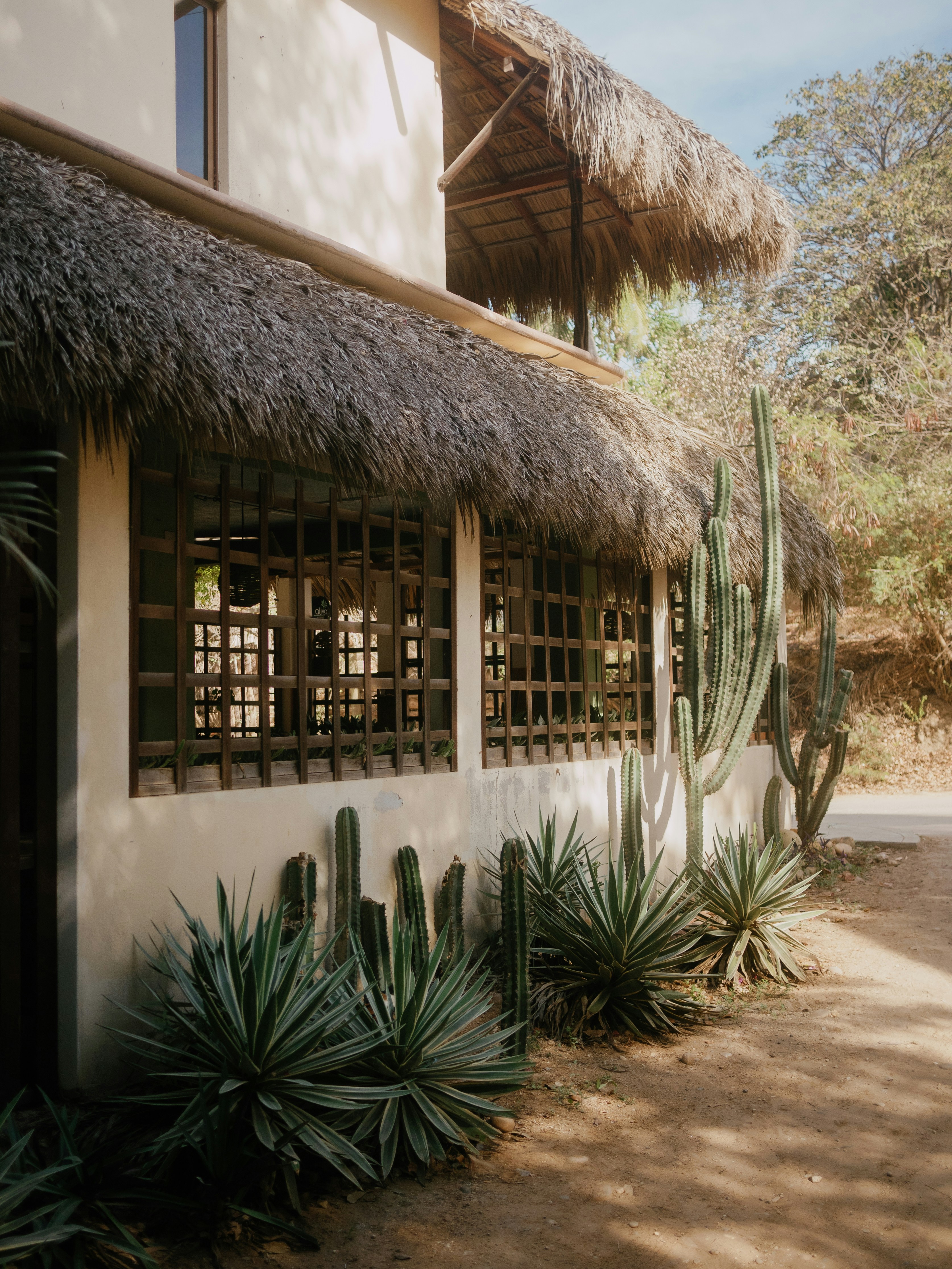 Thatched Roof, Cactus Garden: Studious Light on a Desert‑Town Front