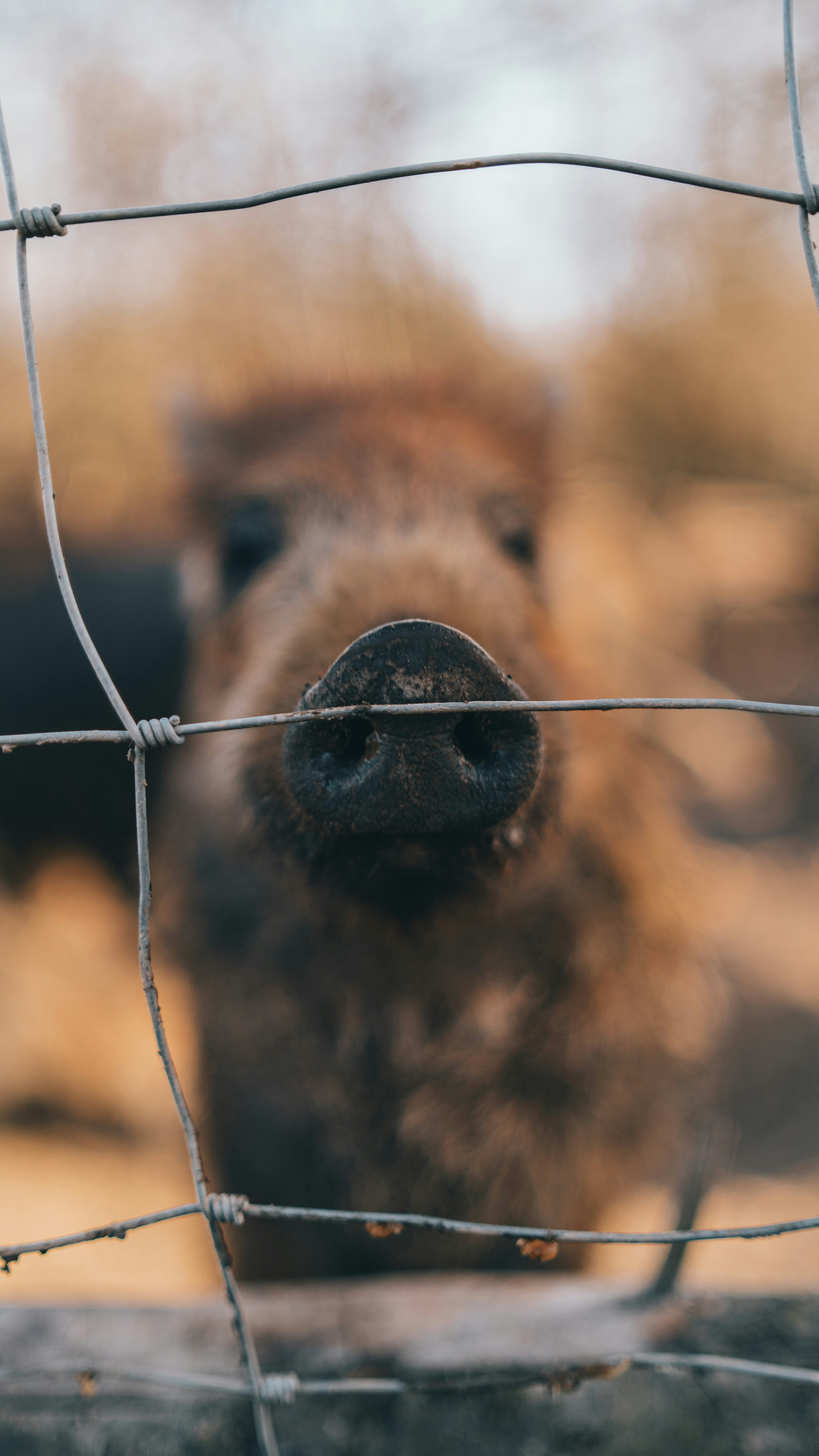 Photo by Vitalii Khodzinskyi with Sony Alpha 7 III