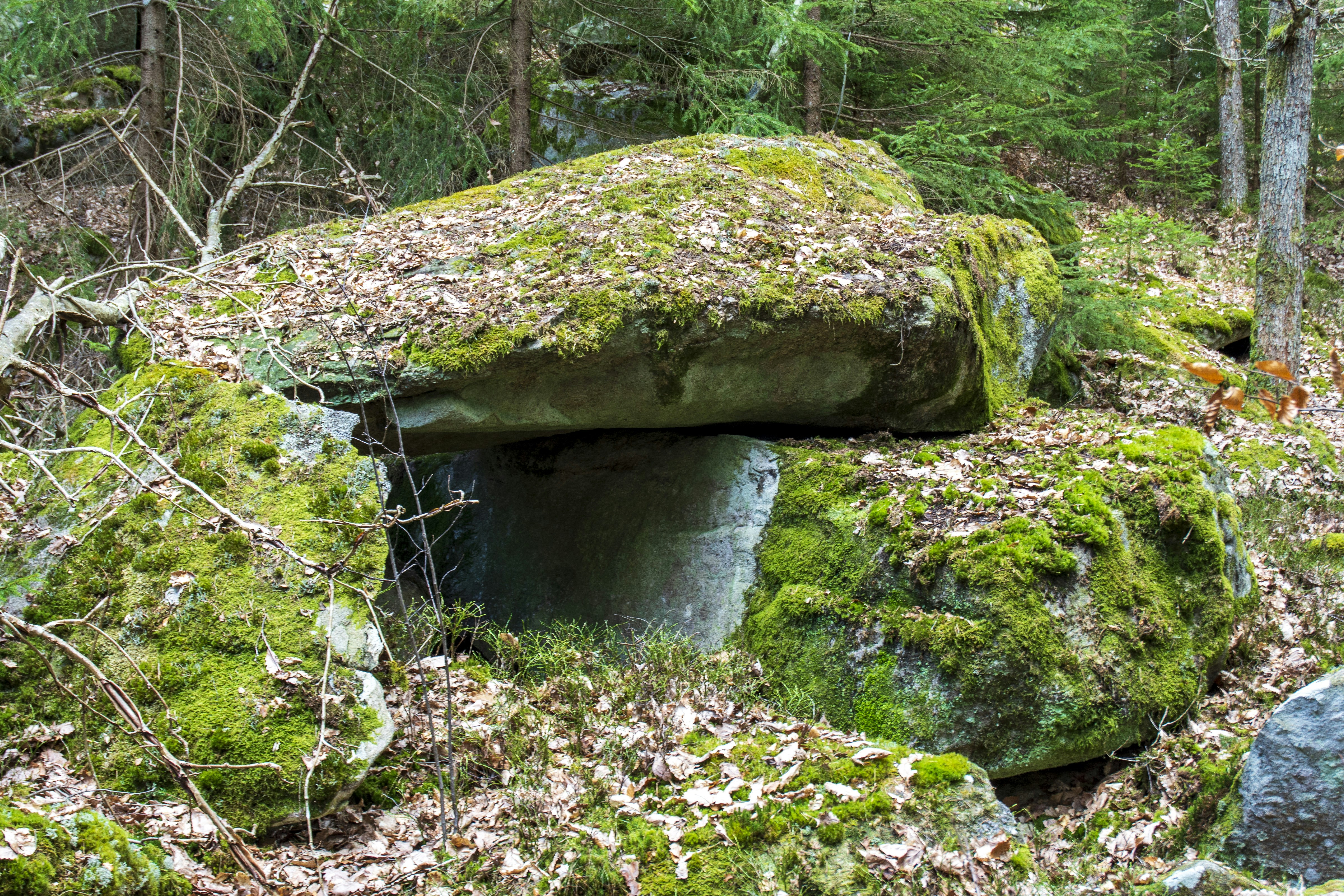 Hidden Mossed Shelter: A Moss-Covered Stone Cave in Quiet Woods
