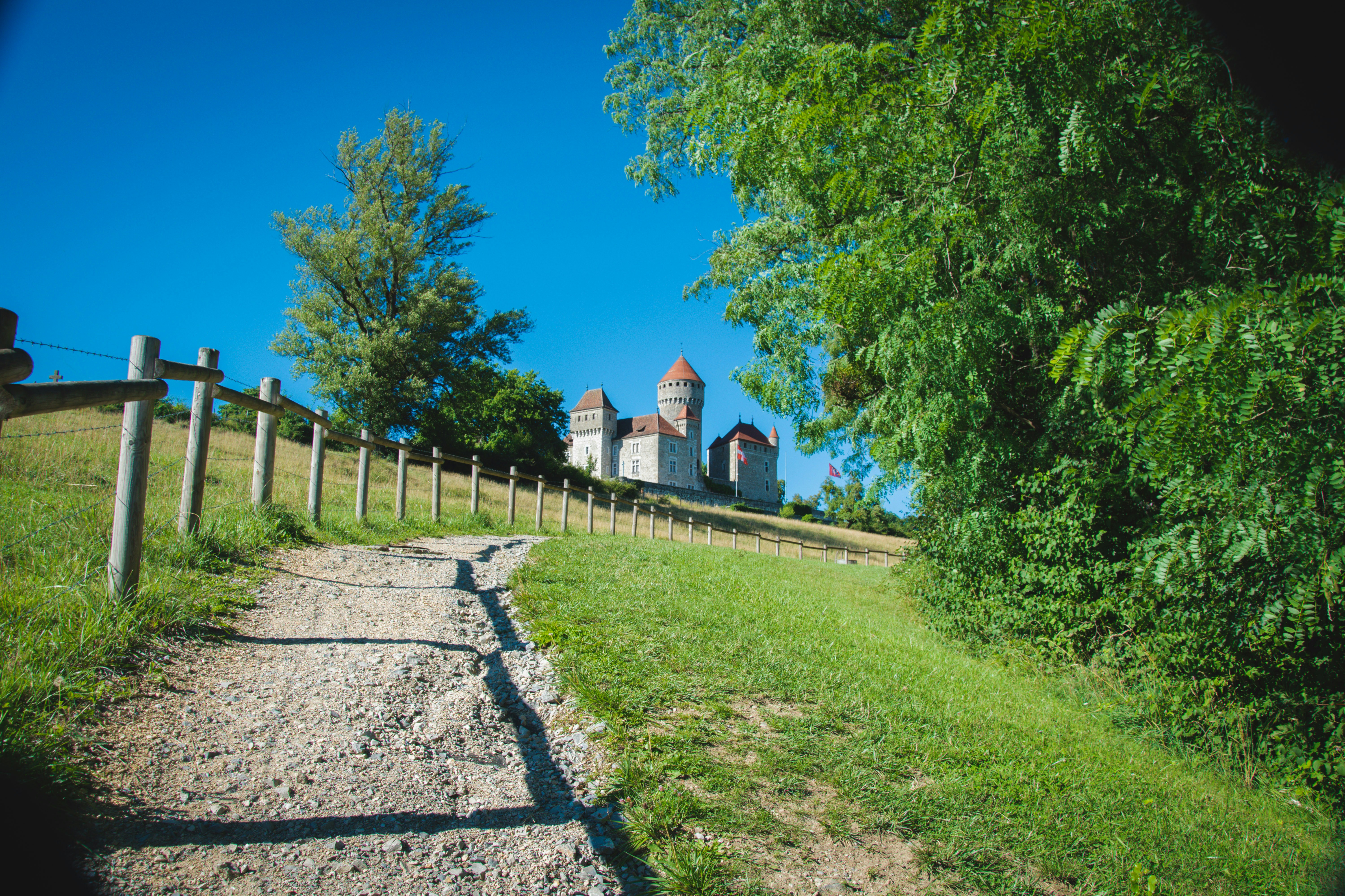 Gravel Ascent: The Sunlit Route to a Hilltop Castle