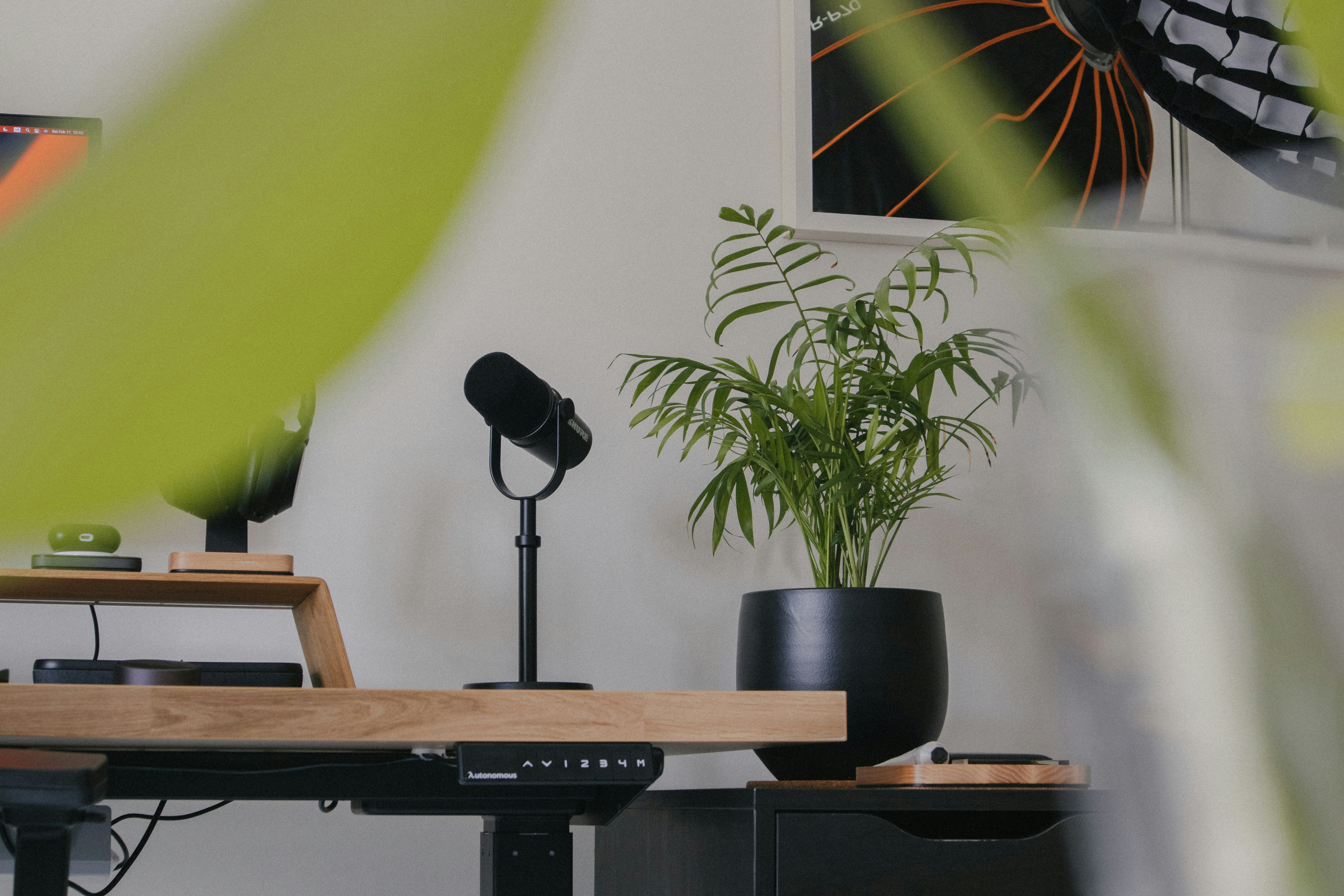 A desk with a microphone and a potted plant photo – Free Plant Image on ...
