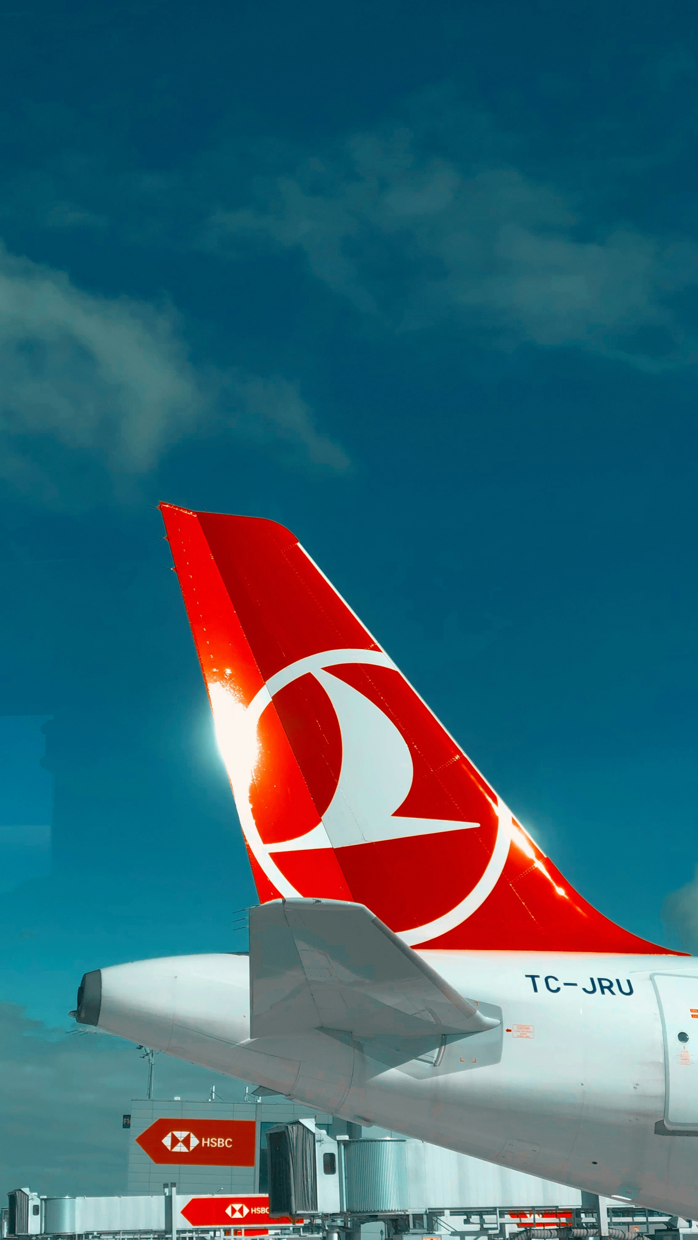 Red Tail, Blue Sky: The Turkish Airlines A320's Sunset Stand