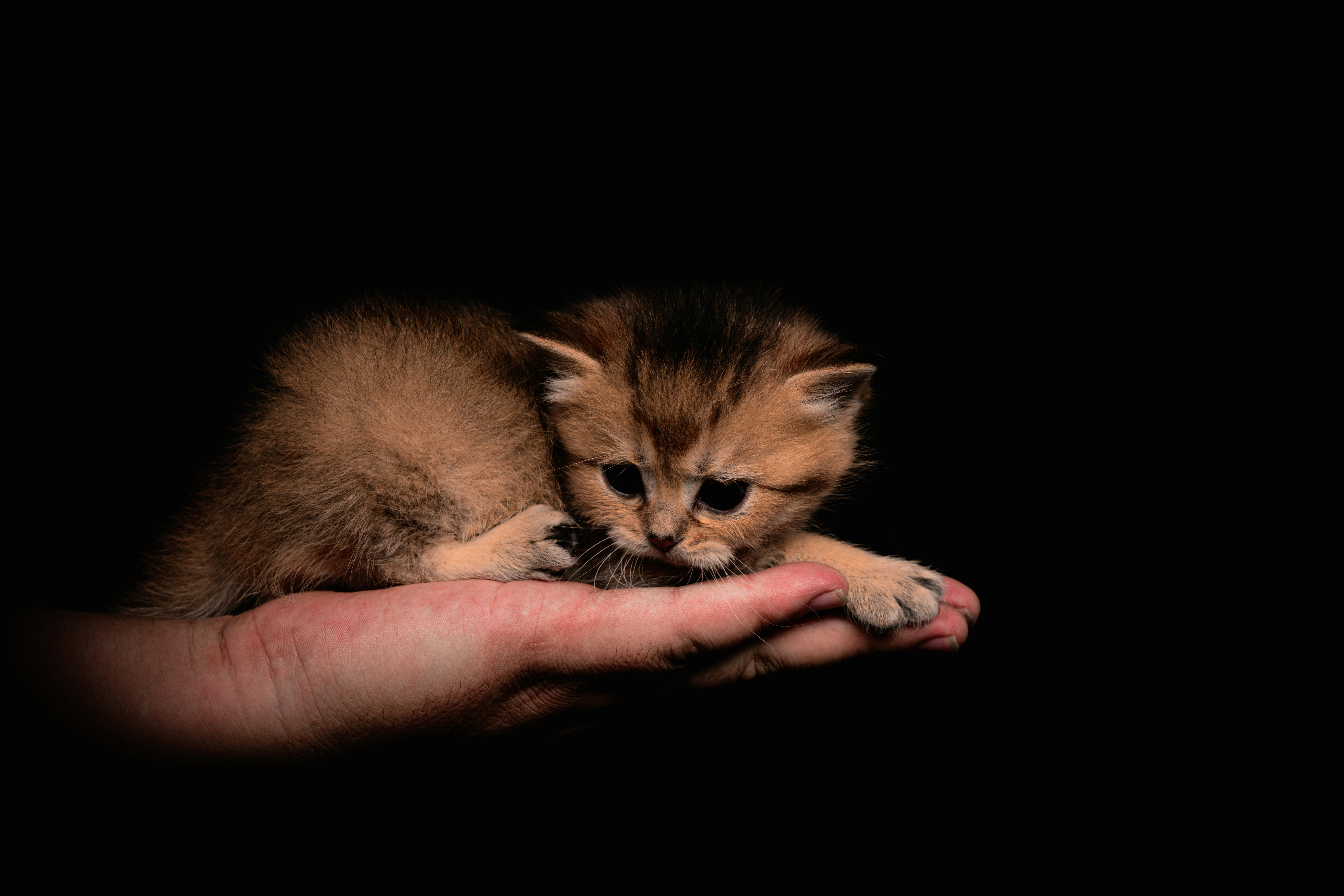 英锫 马 (@myp) | Unsplash Photo Community