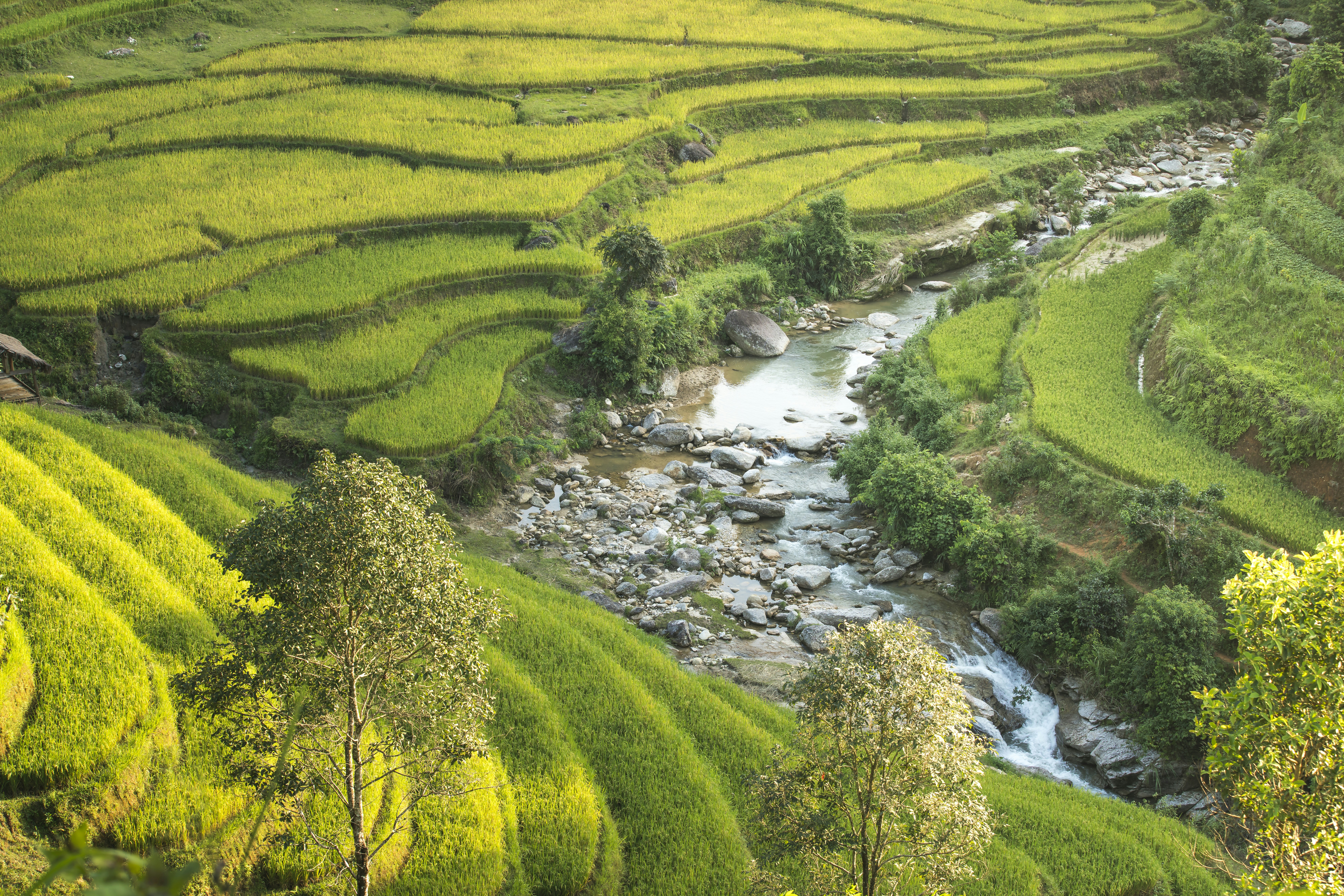 Une rivière qui traverse une vallée verdoyante photo – Photo gratuite ...