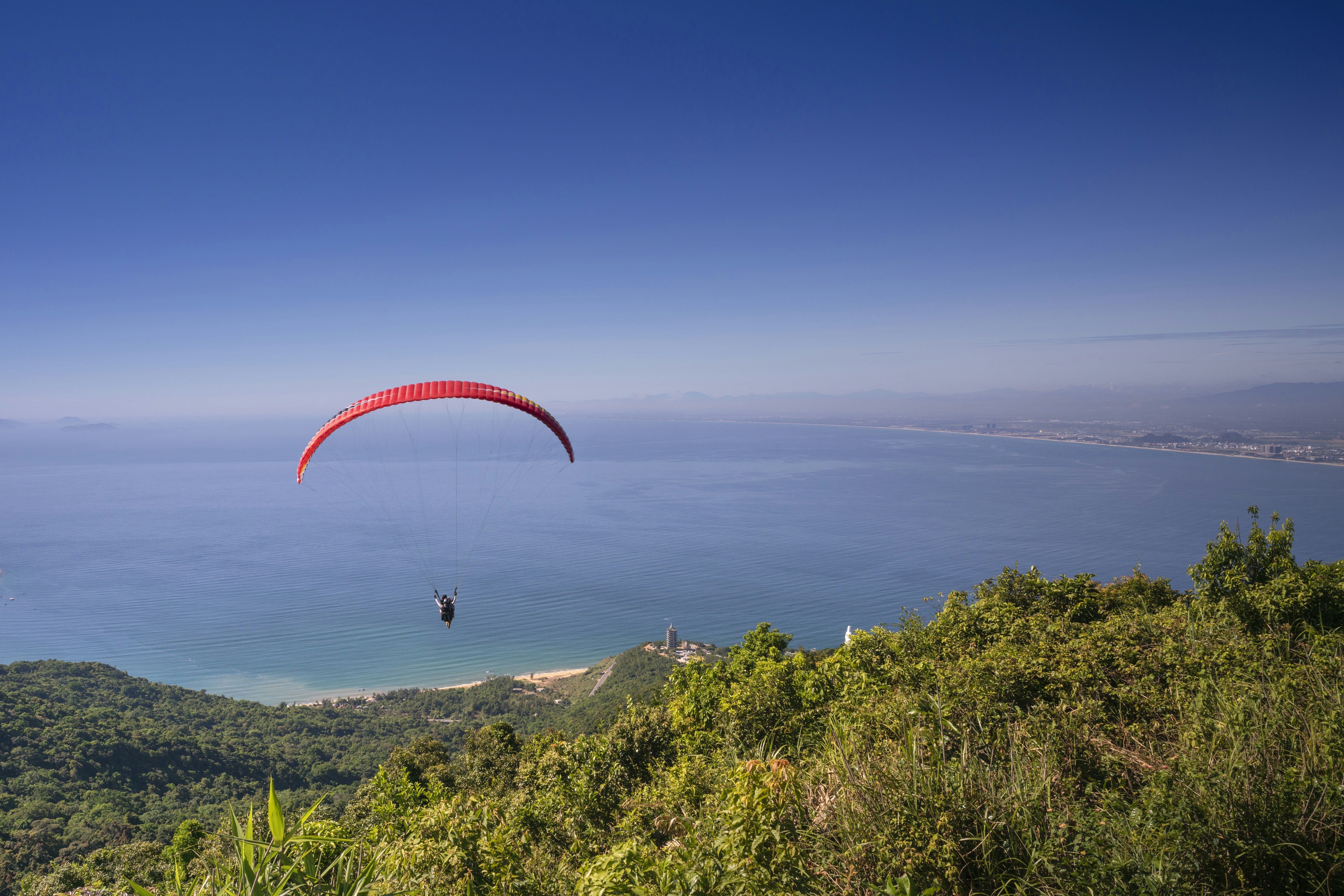 Red-awn Paraglider Over Coastal Terrace
