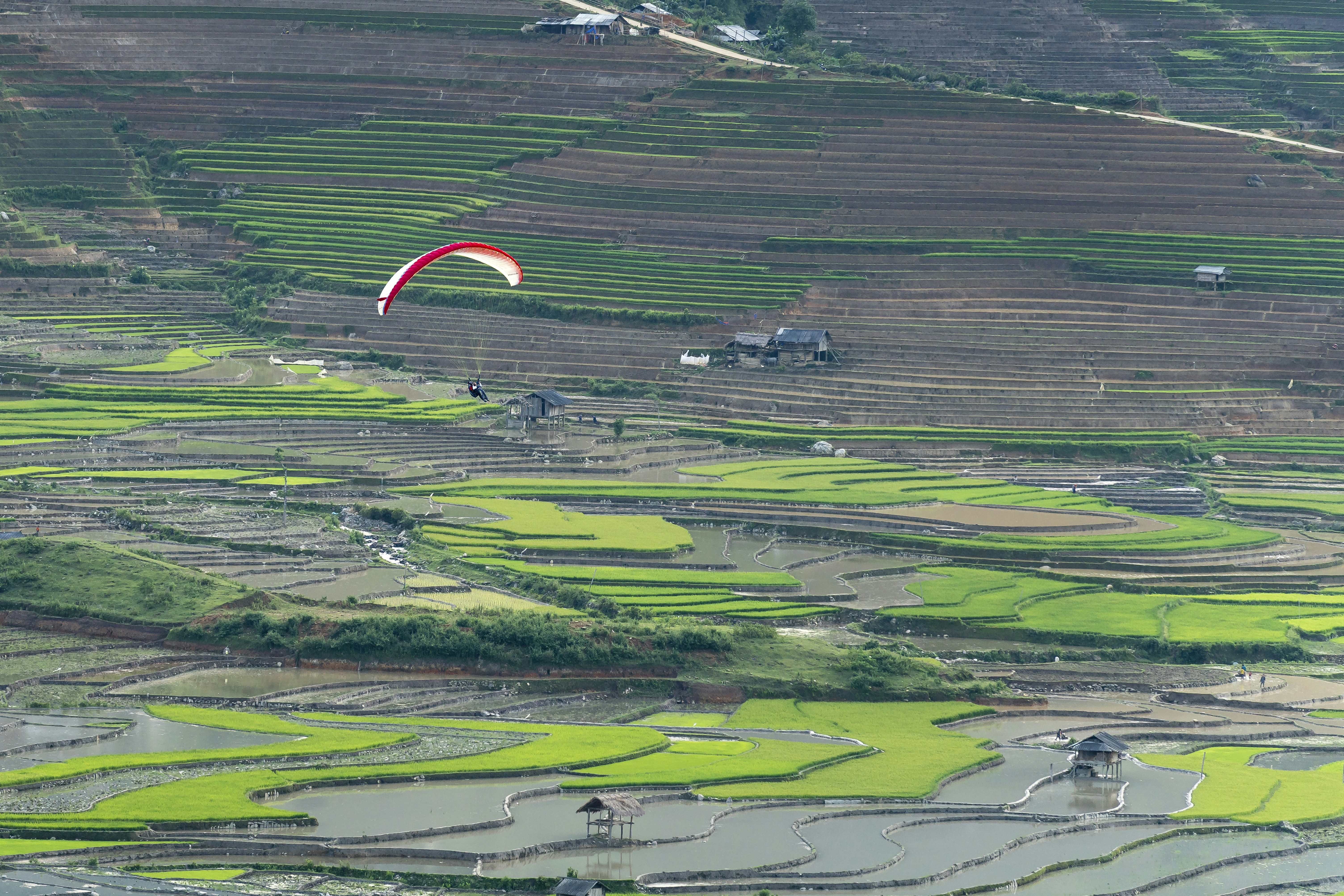 Wing over Verdant Steps: Paraglider Above a Patchwork Valley
