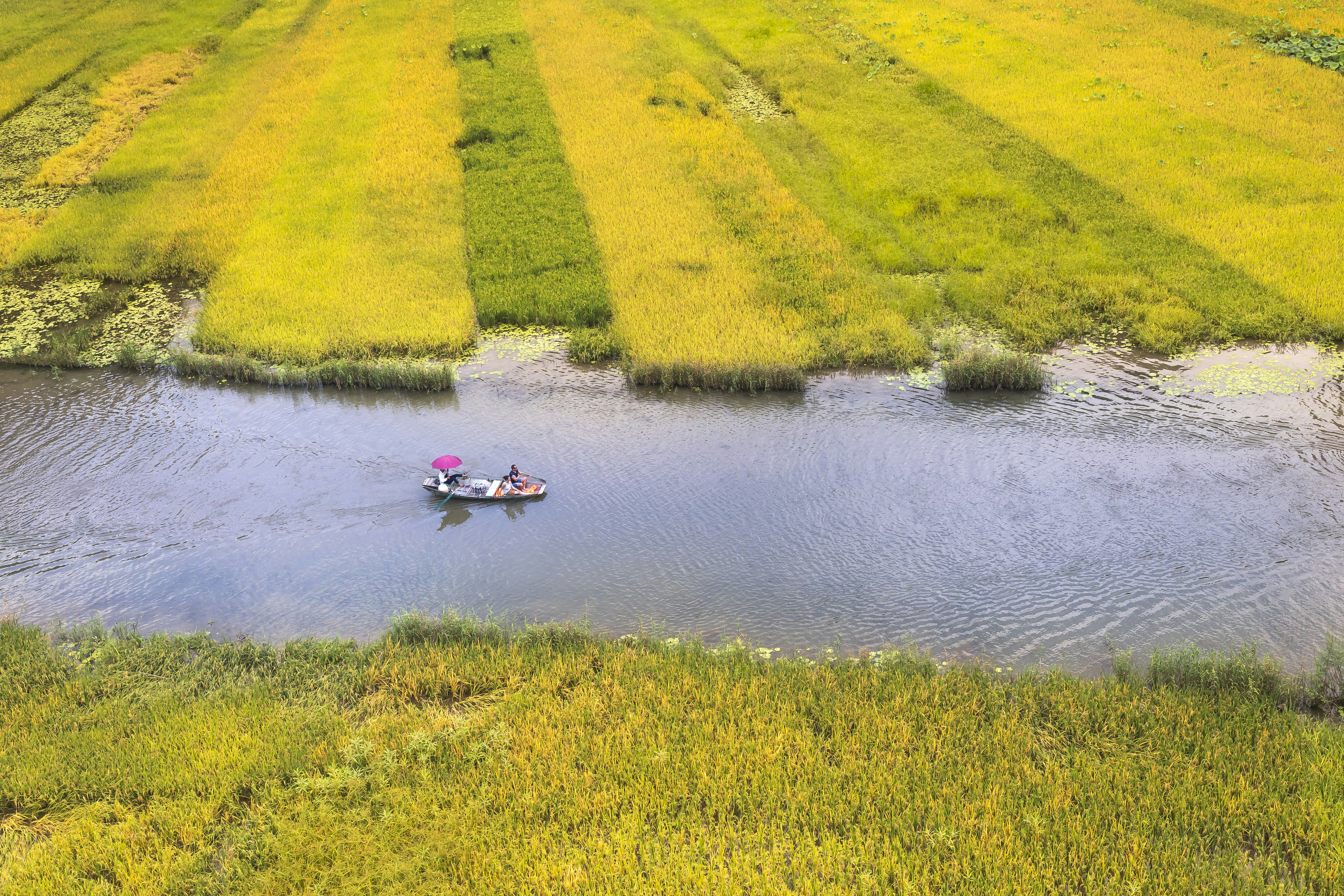 Patchwork River: A Pink-Hatted Paddle Through a Quiet Canal