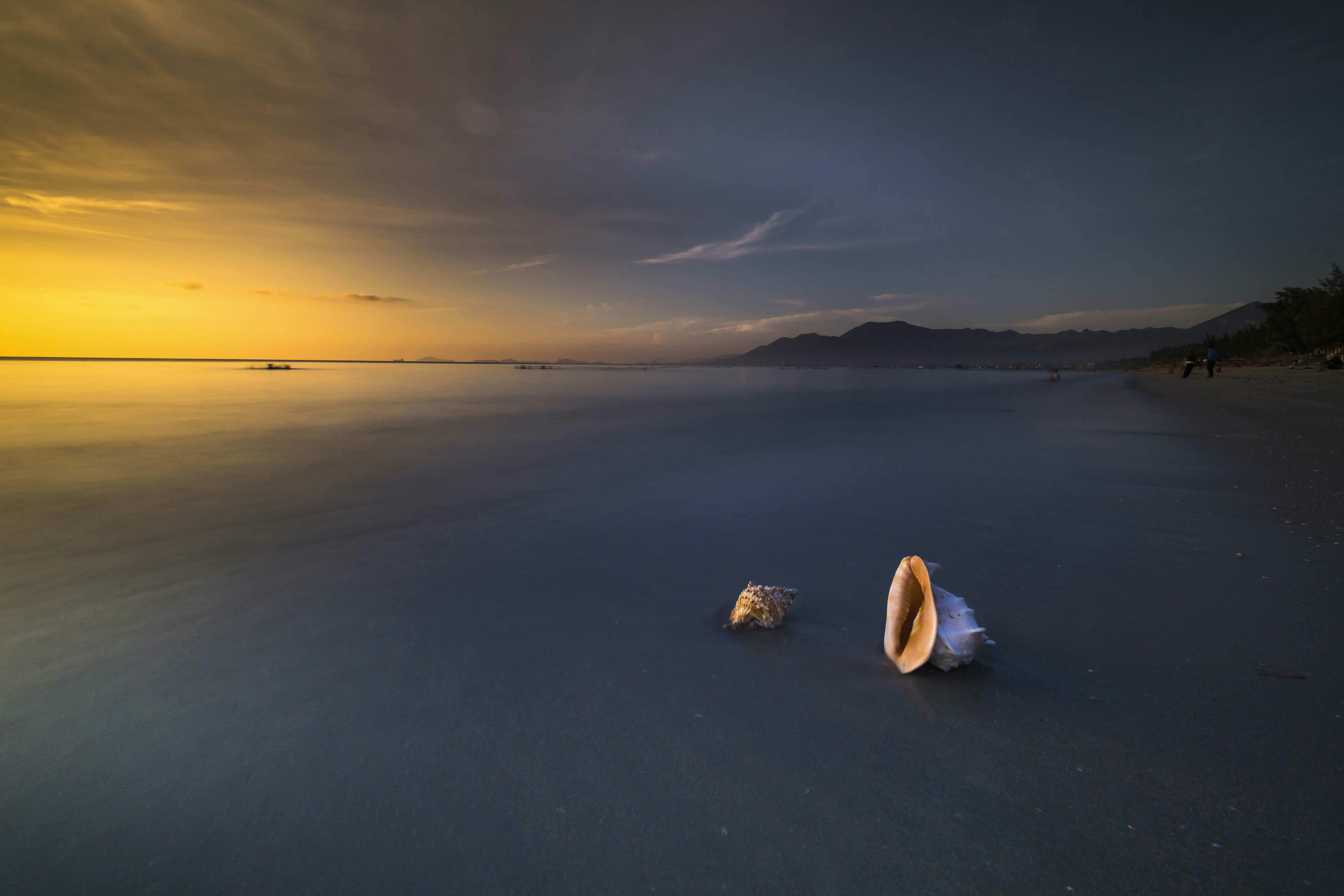 Two Seashells on Velvet Shoreline as Dusk Unfolds