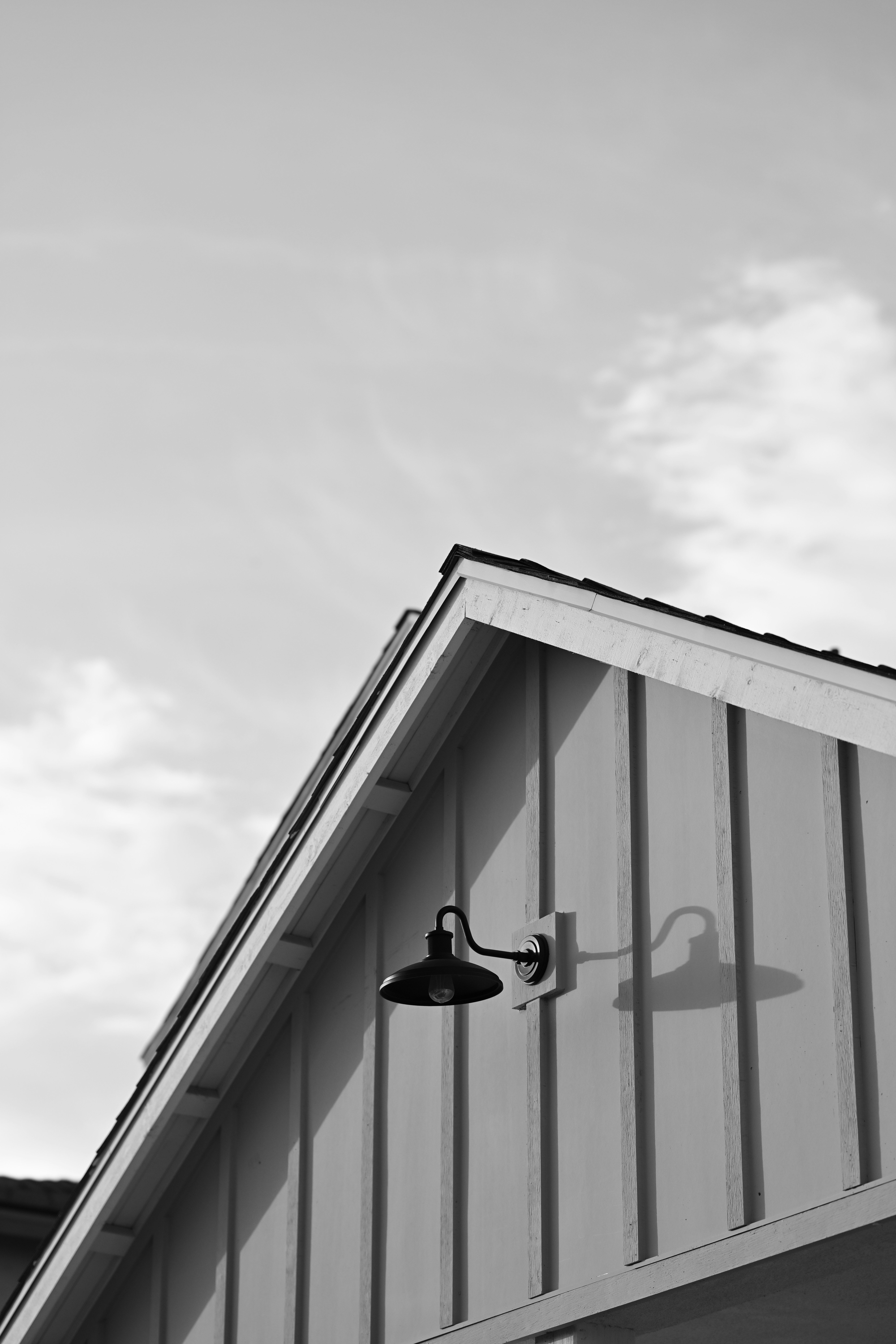 Photo by Amy Chen with Nikon Z9