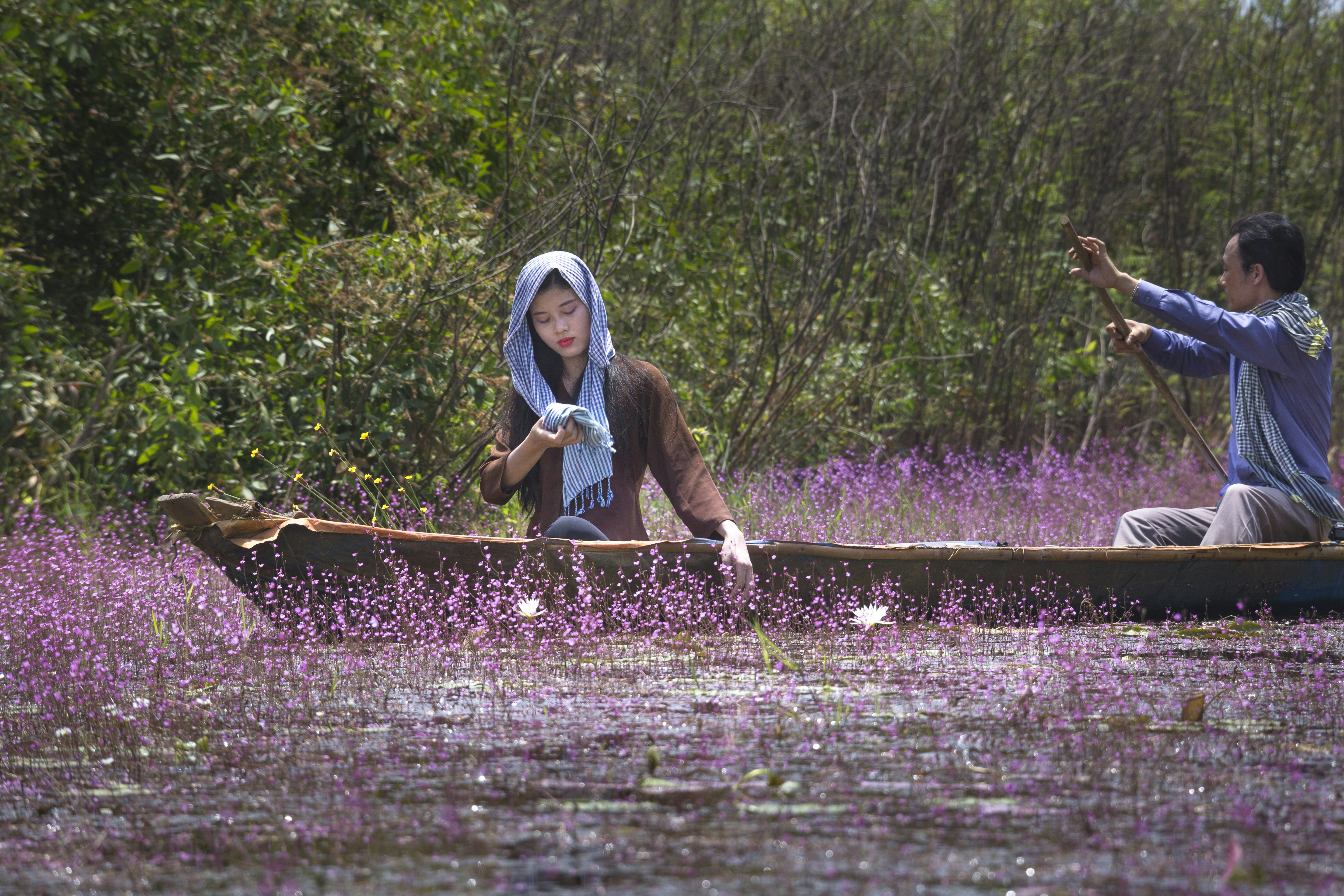 Lilac Crossing: A Quiet Canoe Through a Blooming Pink Lake
