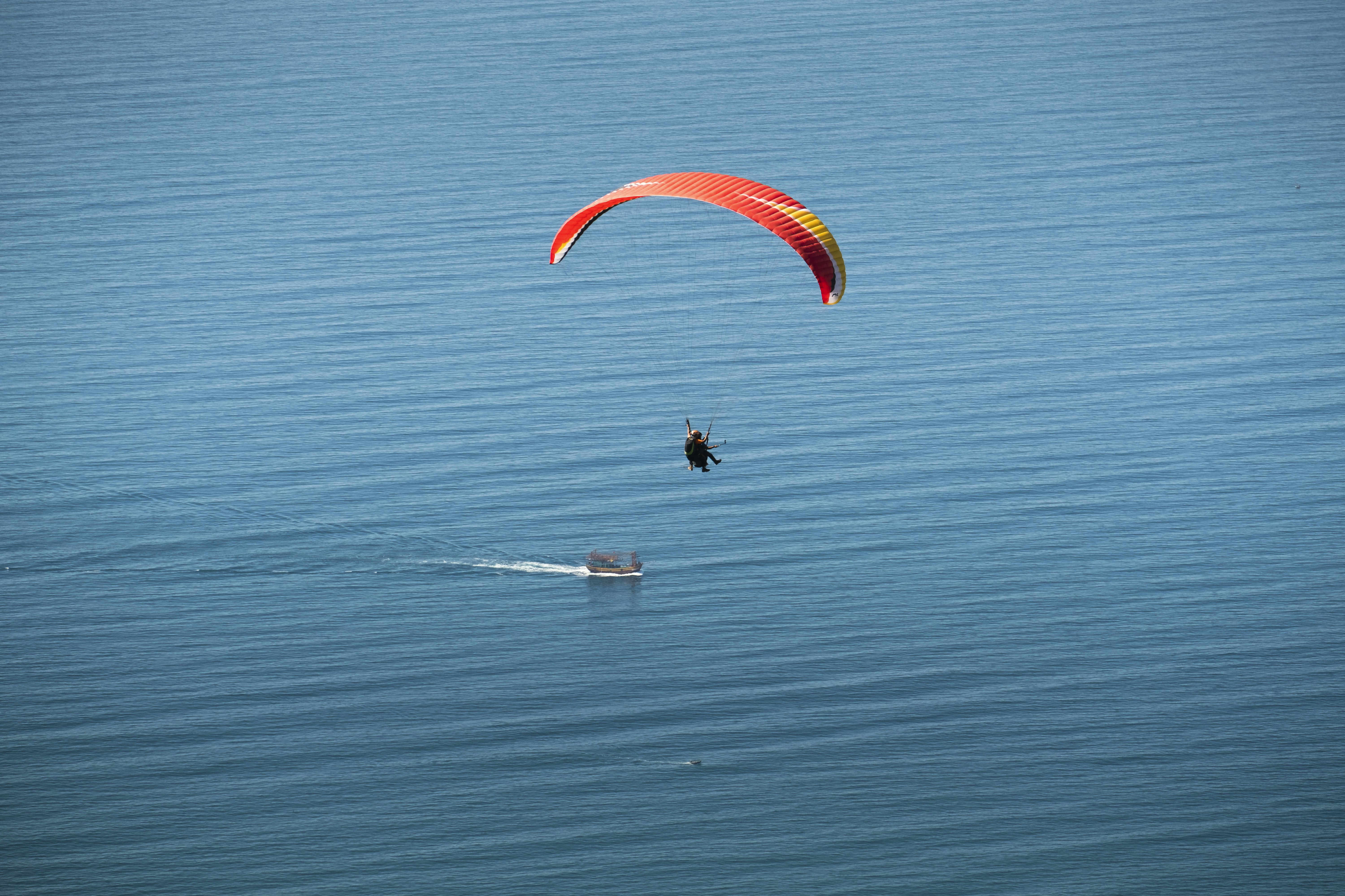 Crimson Wing Over a Glassy Blue Sea