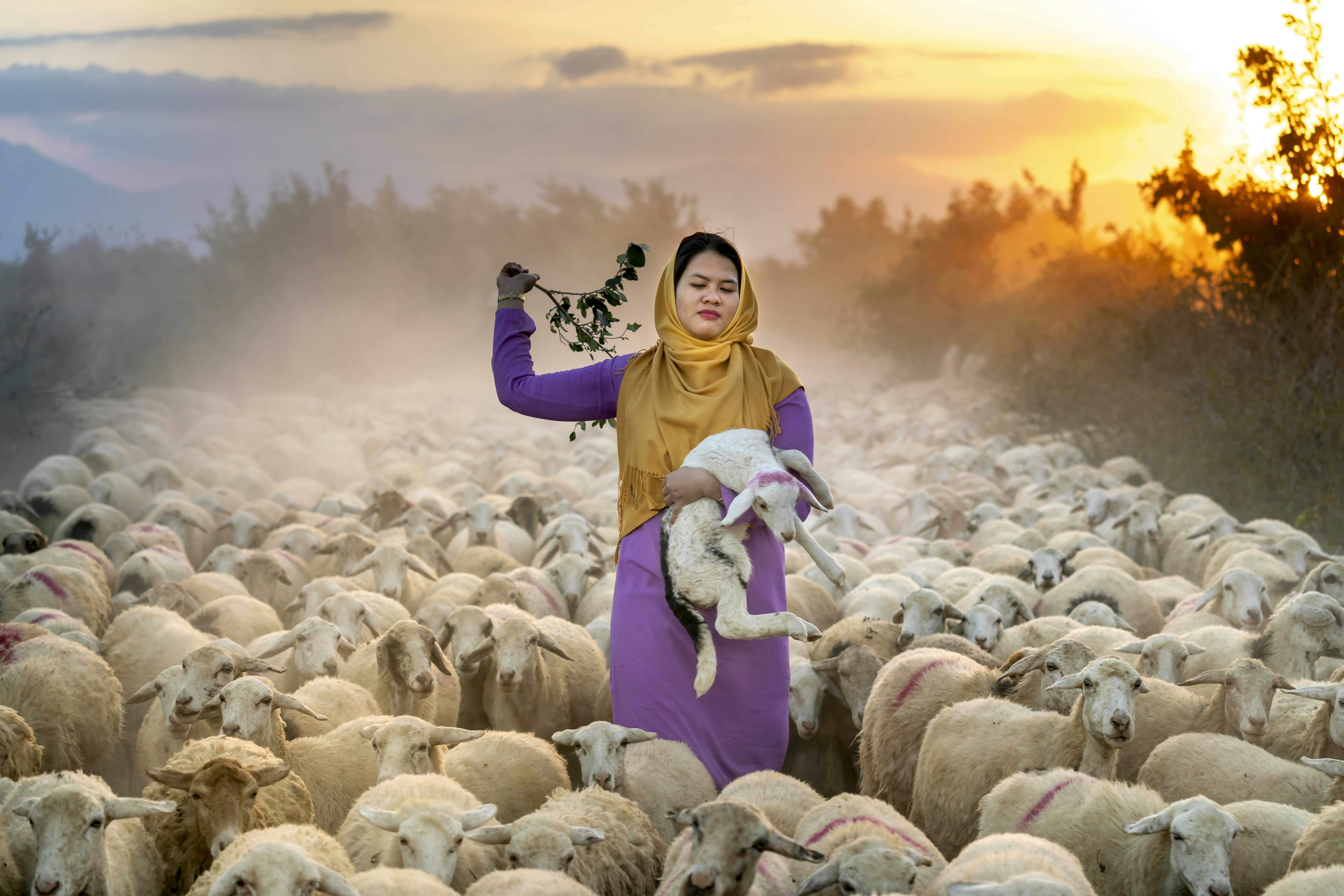 A Shepherdess Among the Flock at Twilight