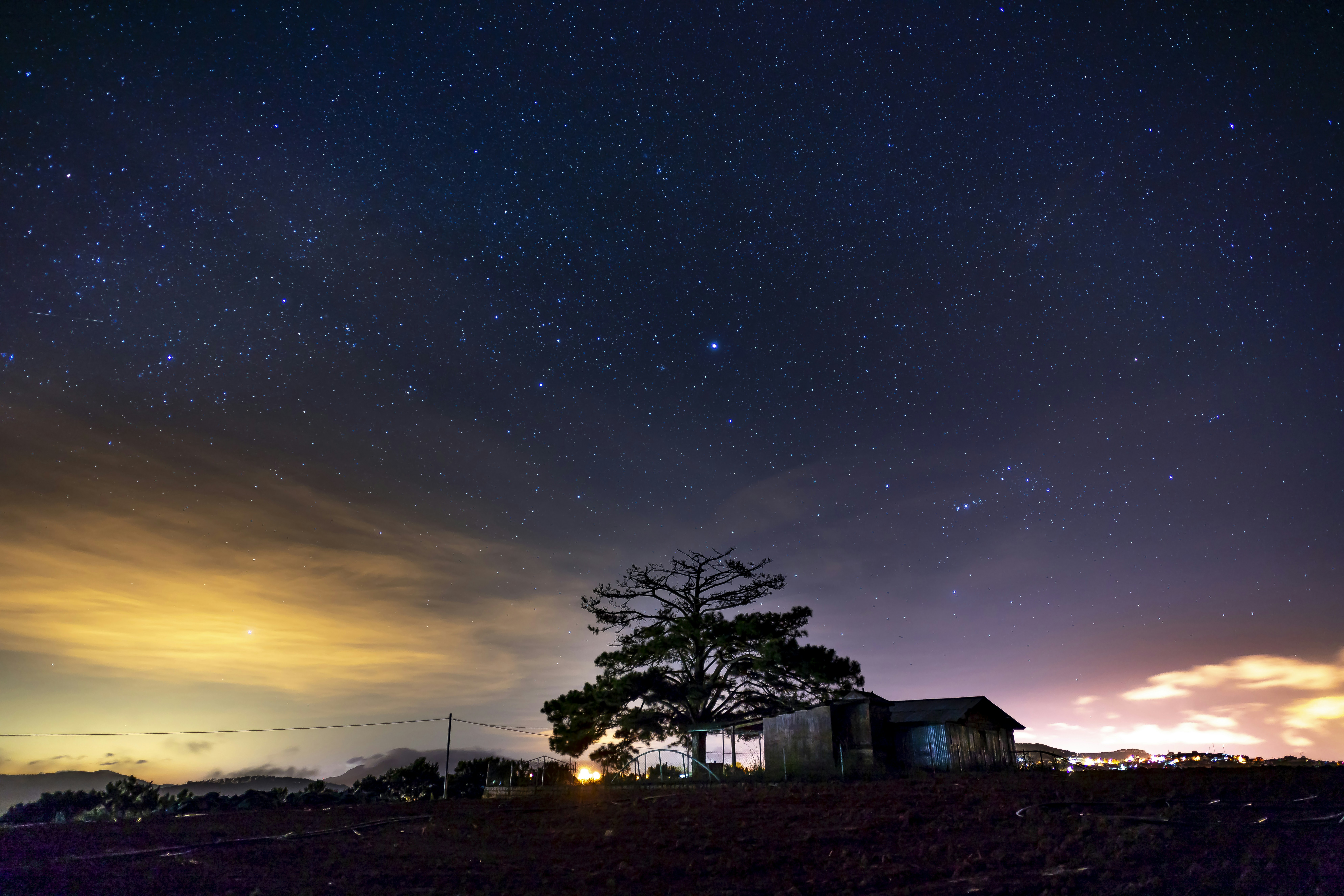Silhouette at Dusk: Lone Tree and Shack Beneath a Sea of Stars