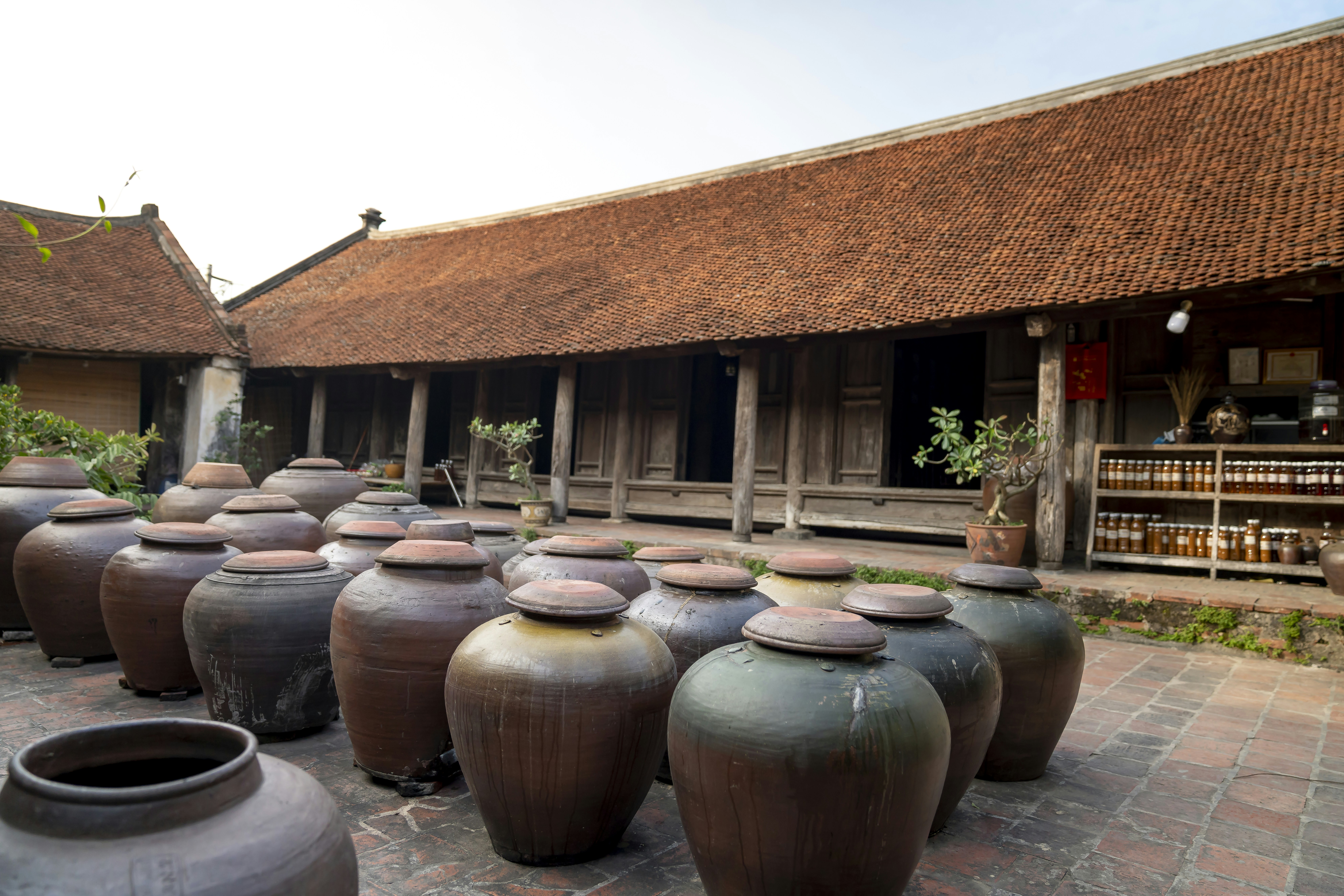 Row of Fermentation Jars in a Sunlit Courtyard of Timber and Tile