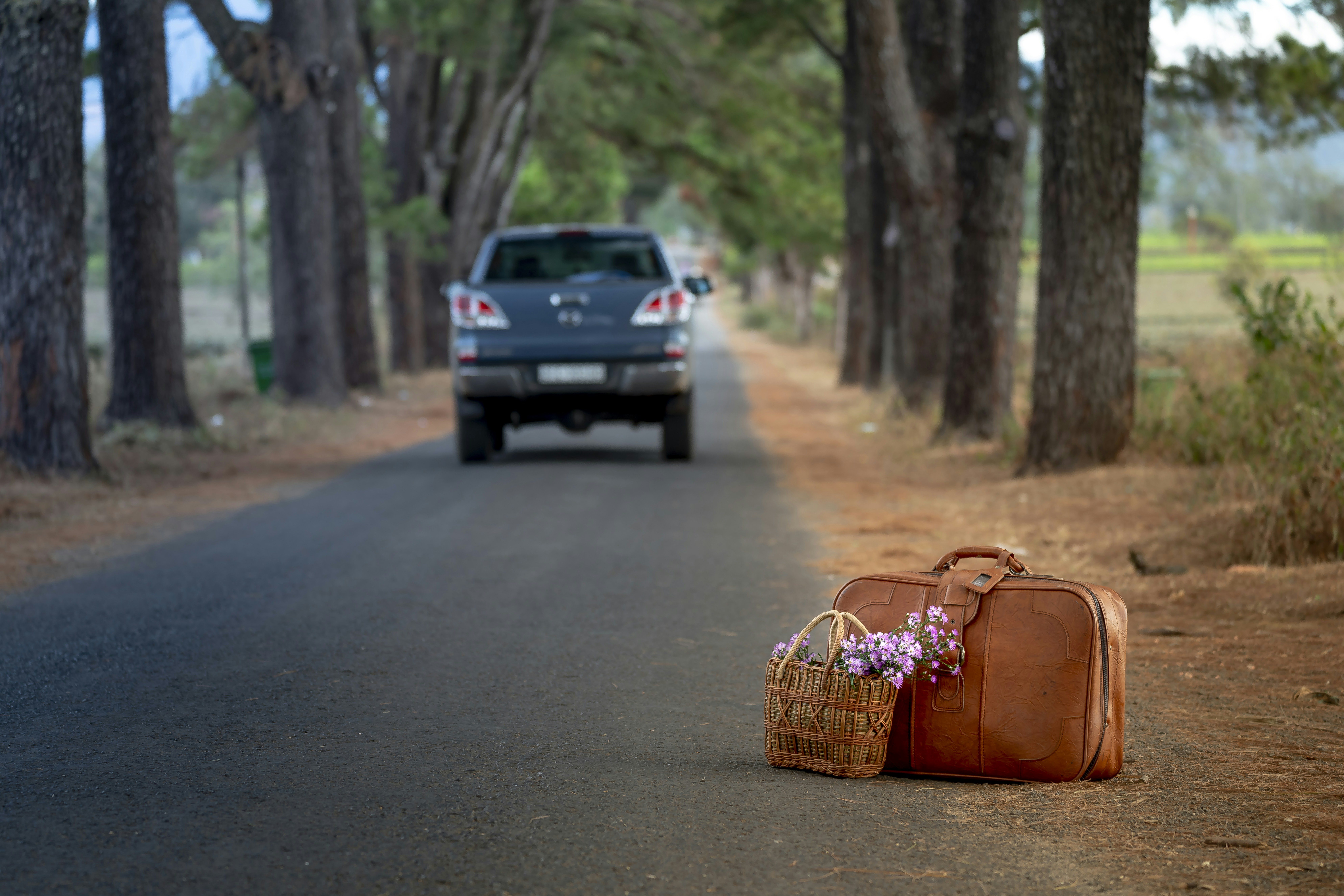 Photo by Quang Nguyen Vinh with Sony Alpha 7R III