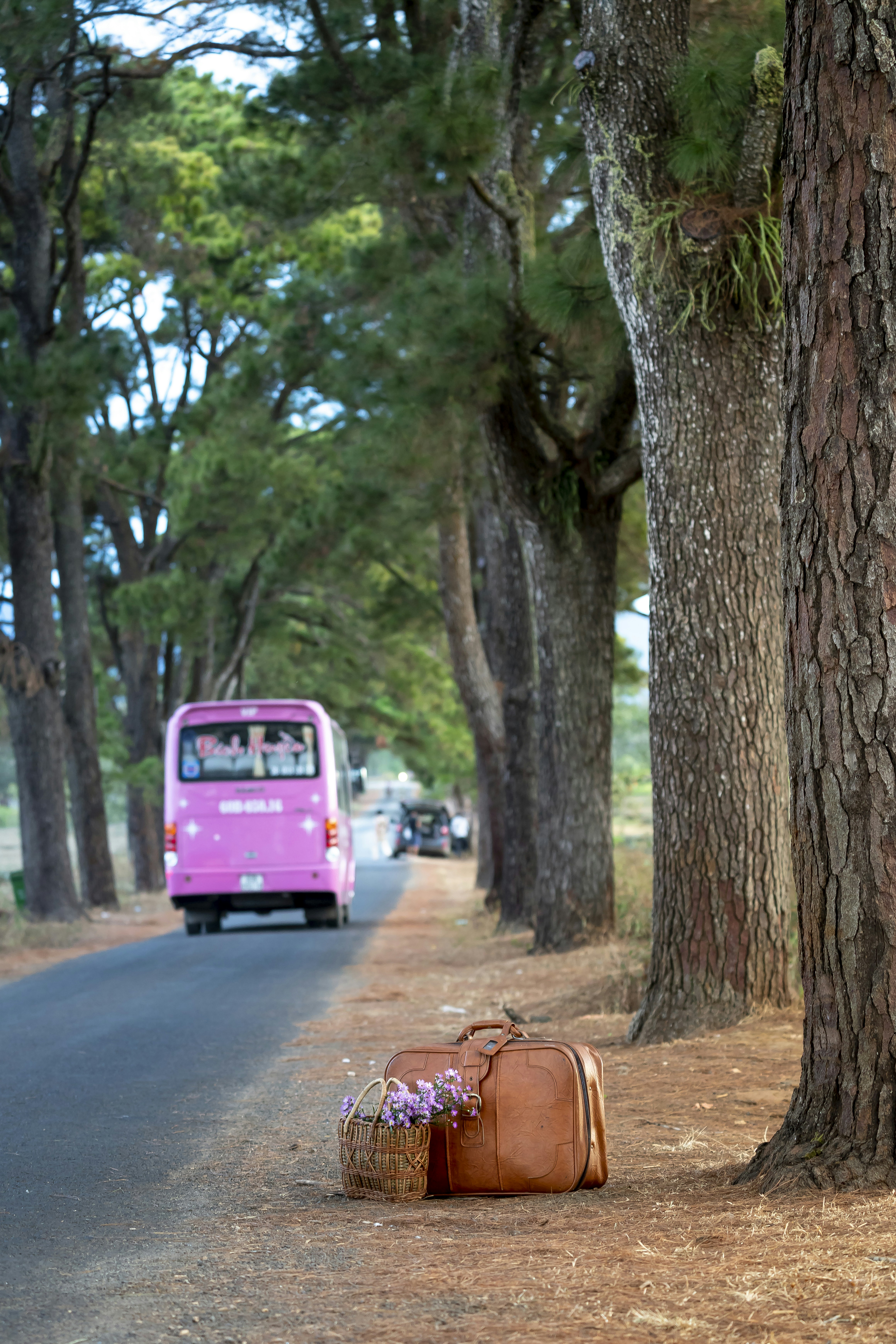 Leather Satchel and Purple Blooms on a Pine-Lined Road