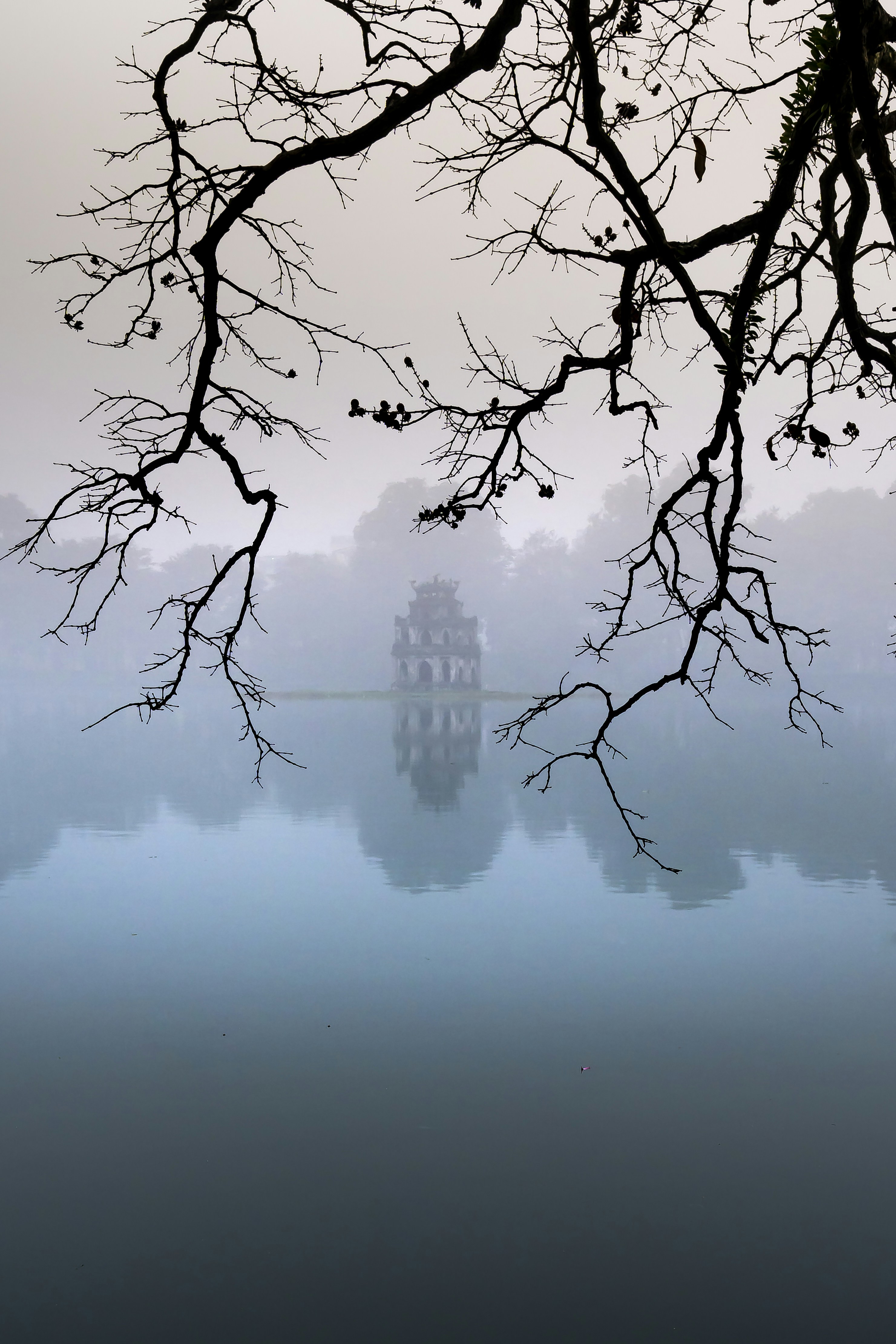 a large body of water surrounded by trees