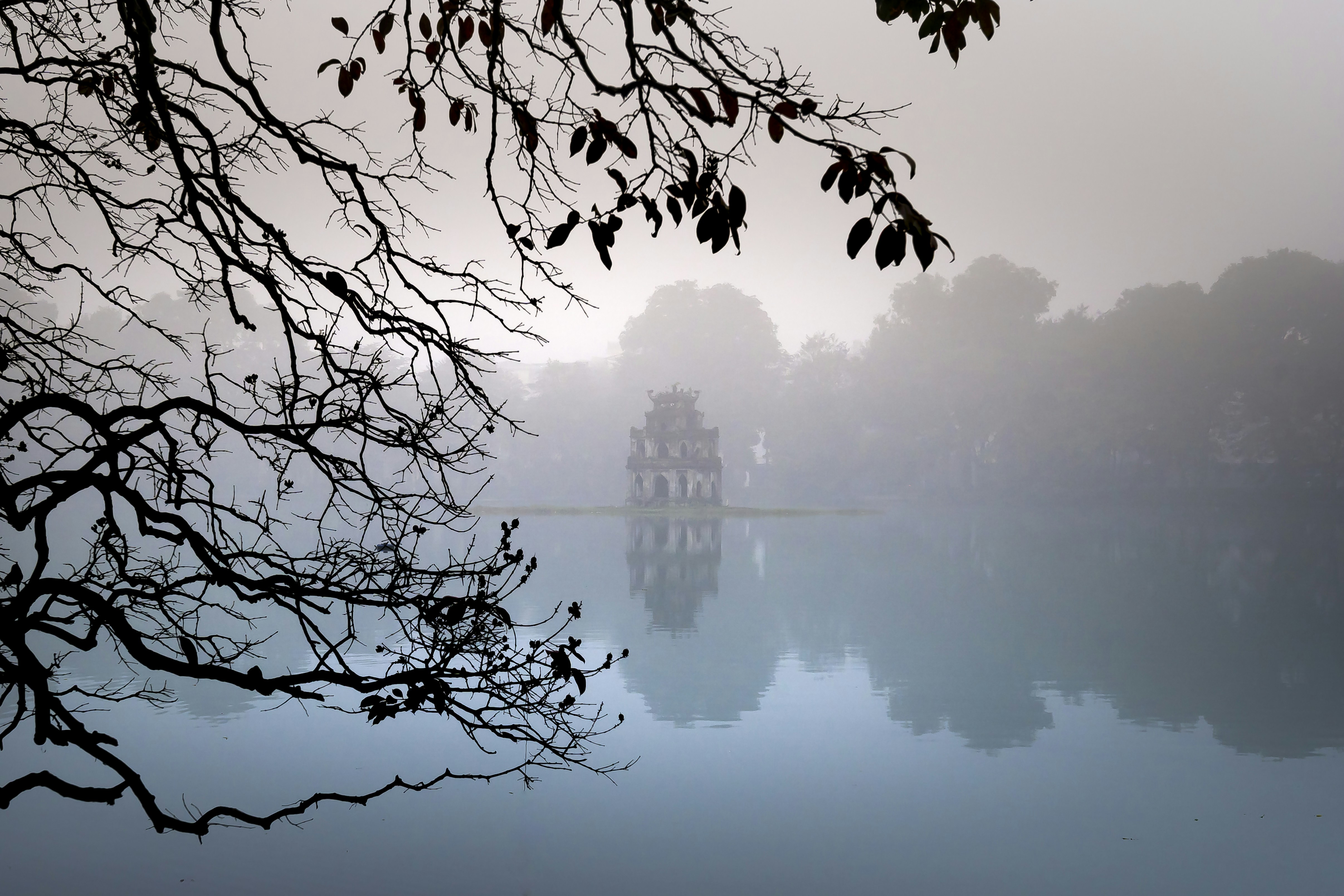 Mistbound Pagoda: A Quiet Lake Framed by Winter Branches