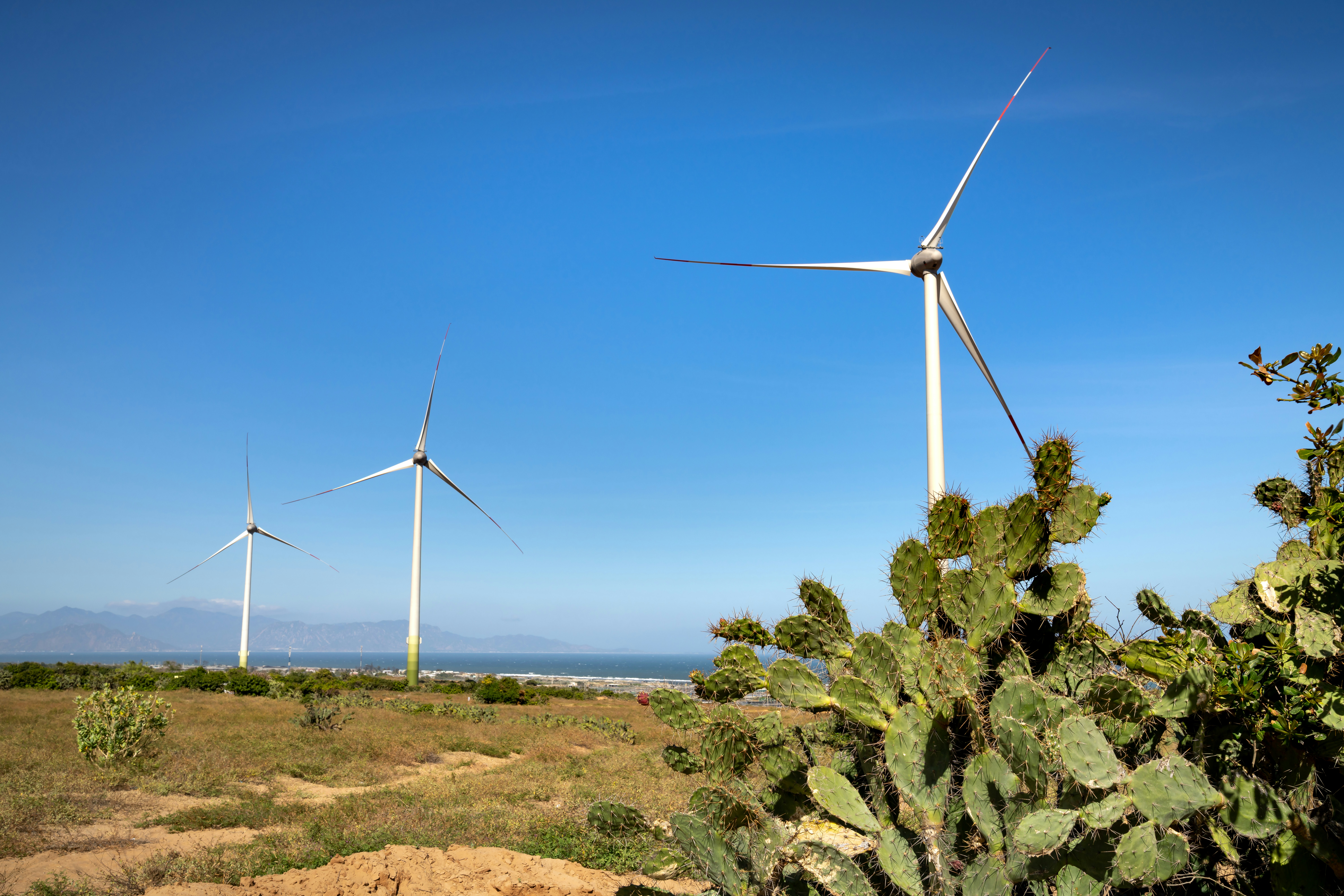 A bunch of windmills that are standing in the grass photo – Free ...
